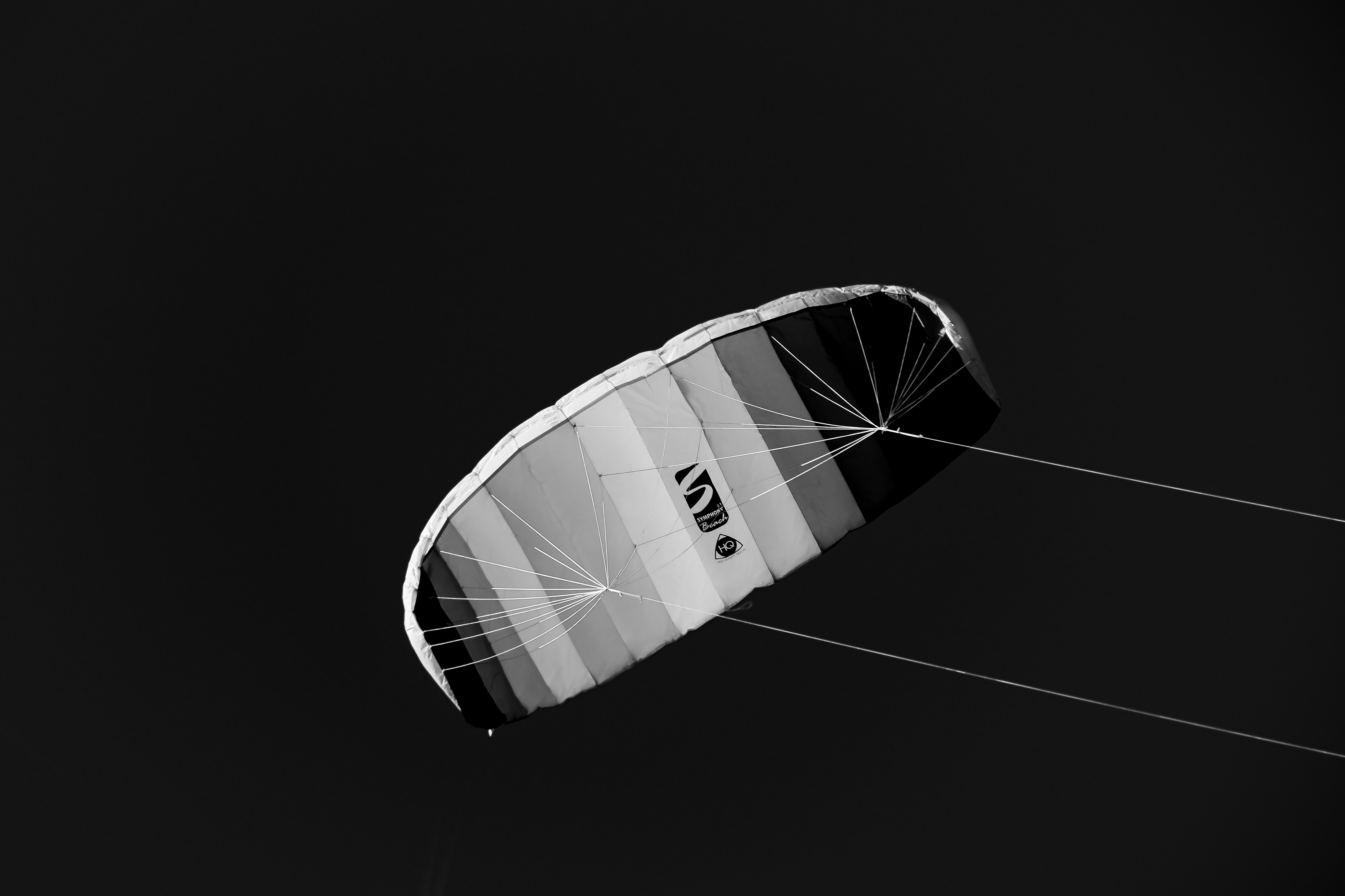 A black and white kite flies against a dark sky. photo – Free Abstract ...