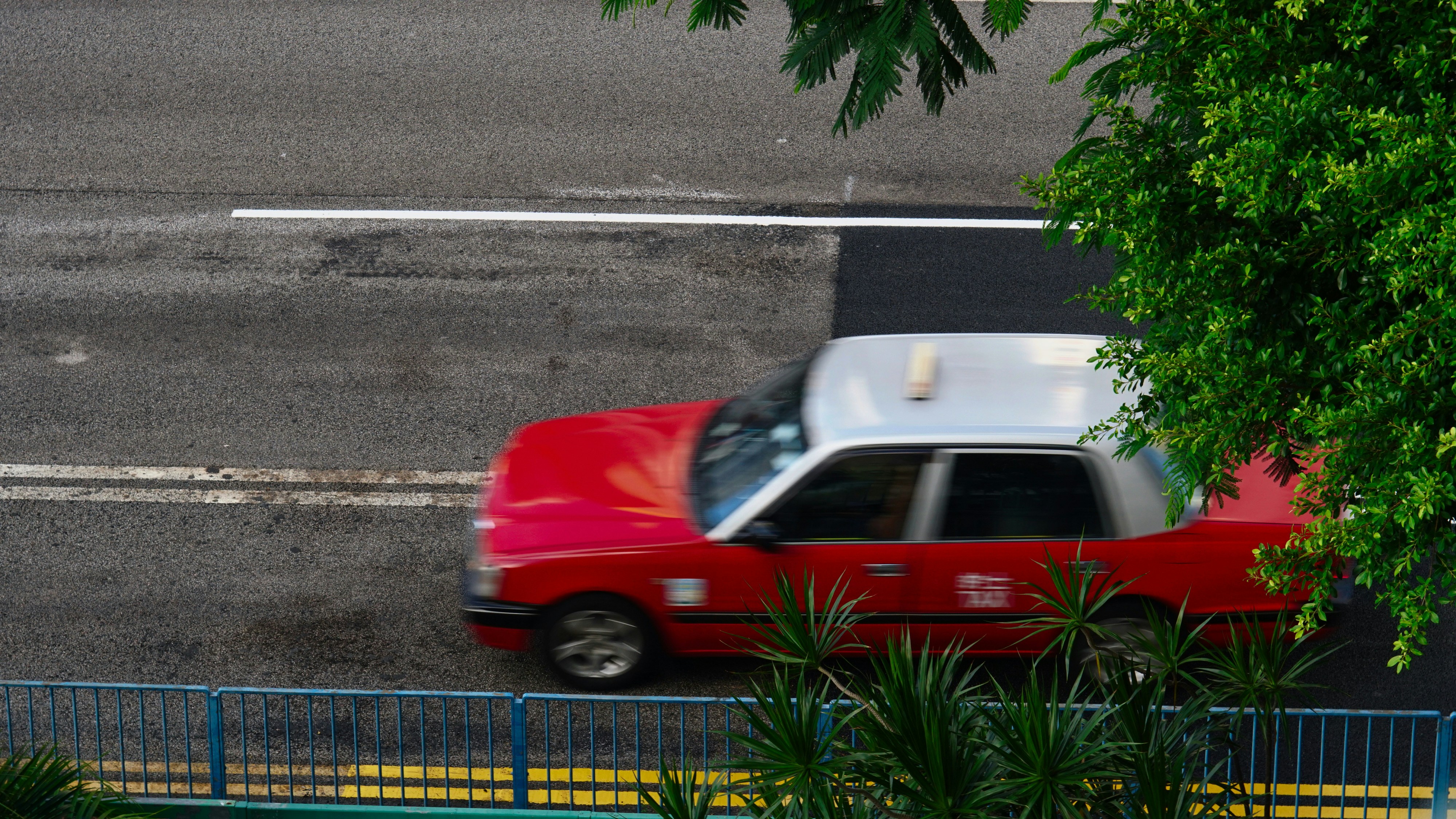 Velocity on Asphalt: Red Taxi Blurring Past a Blue Rail, Framed by Green Canopy