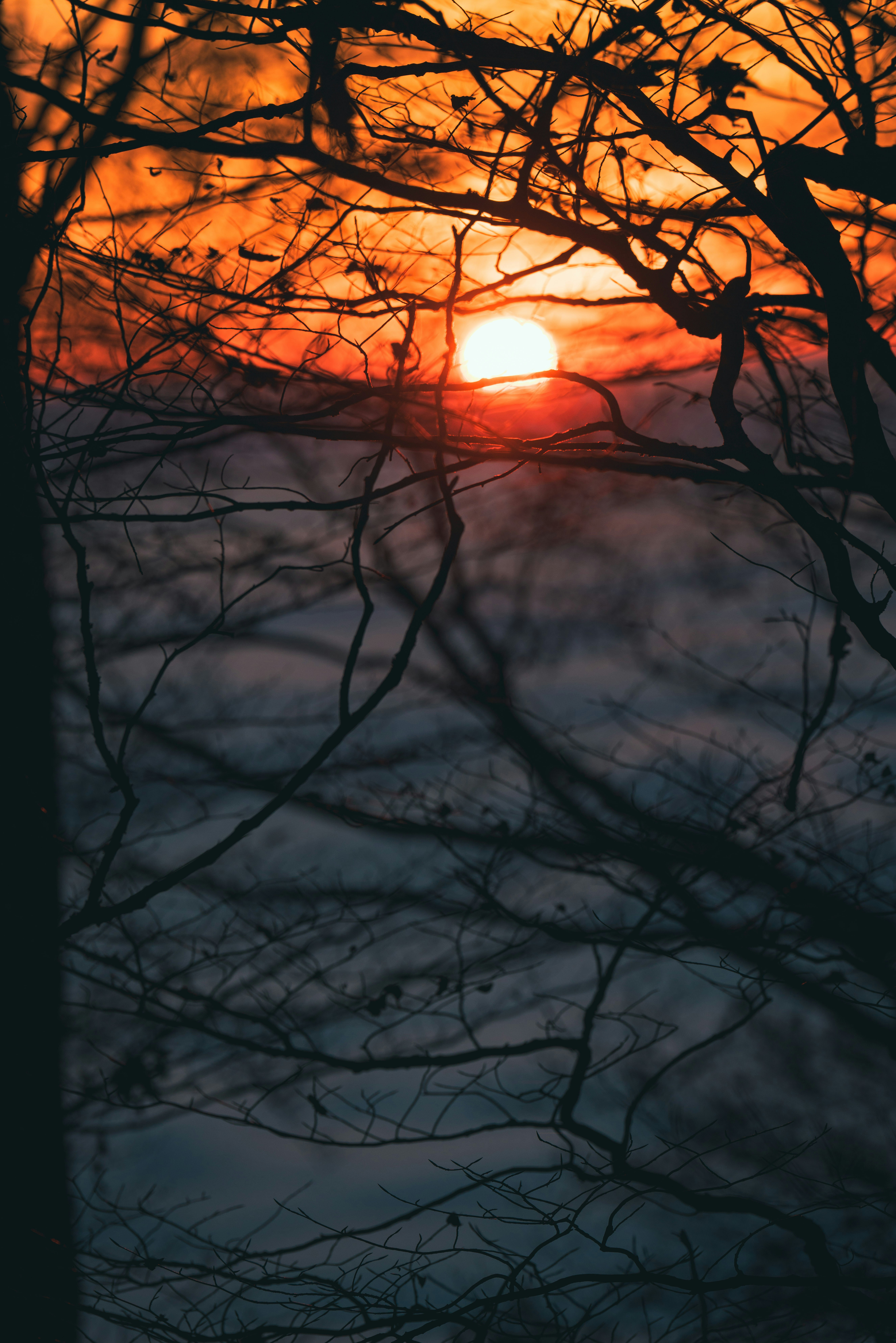 Photo by Sergio Zhukov with Sony Alpha 7R II