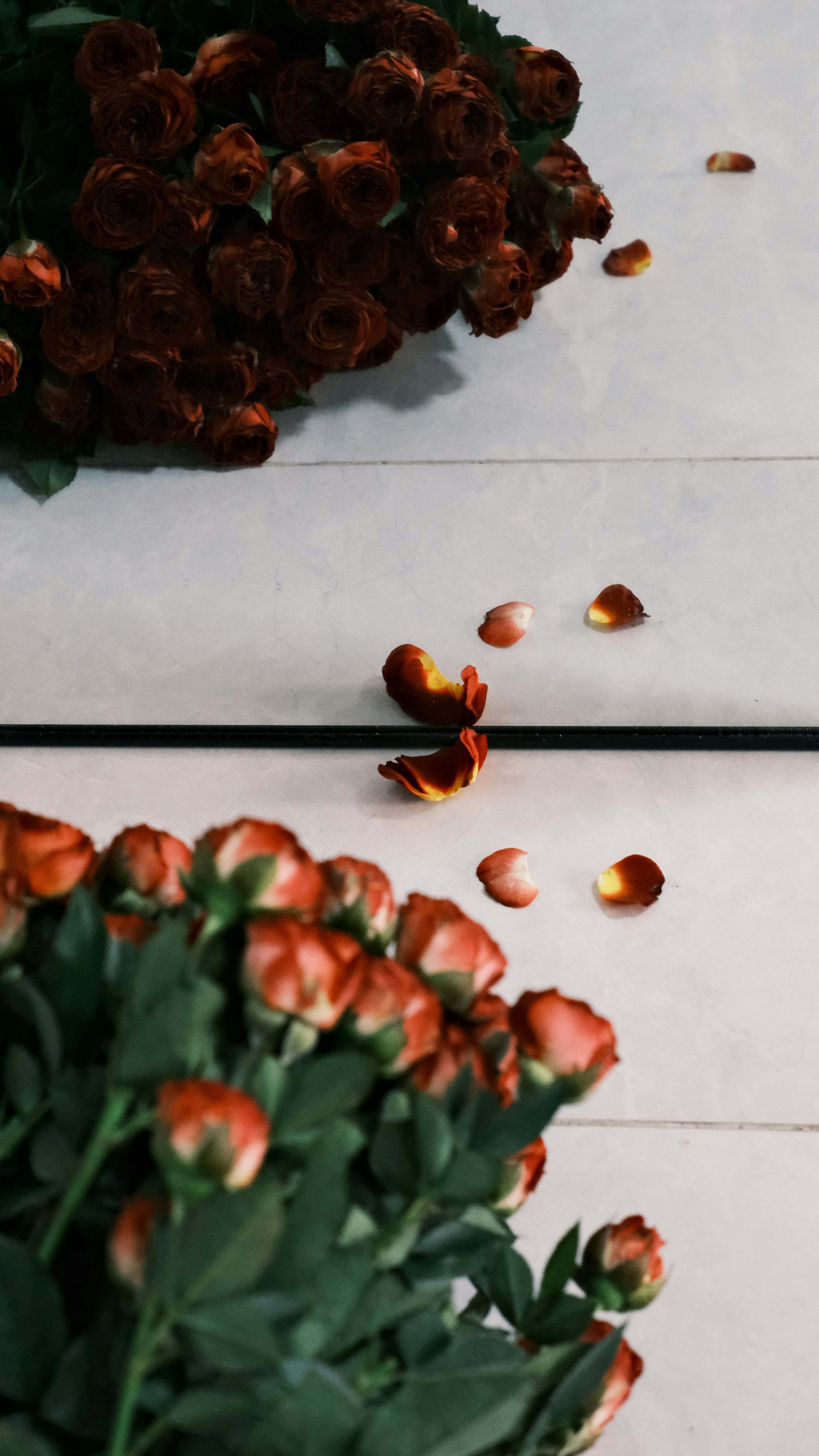 Crimson Bouquets on Marble: Petals Trace a Quiet Line