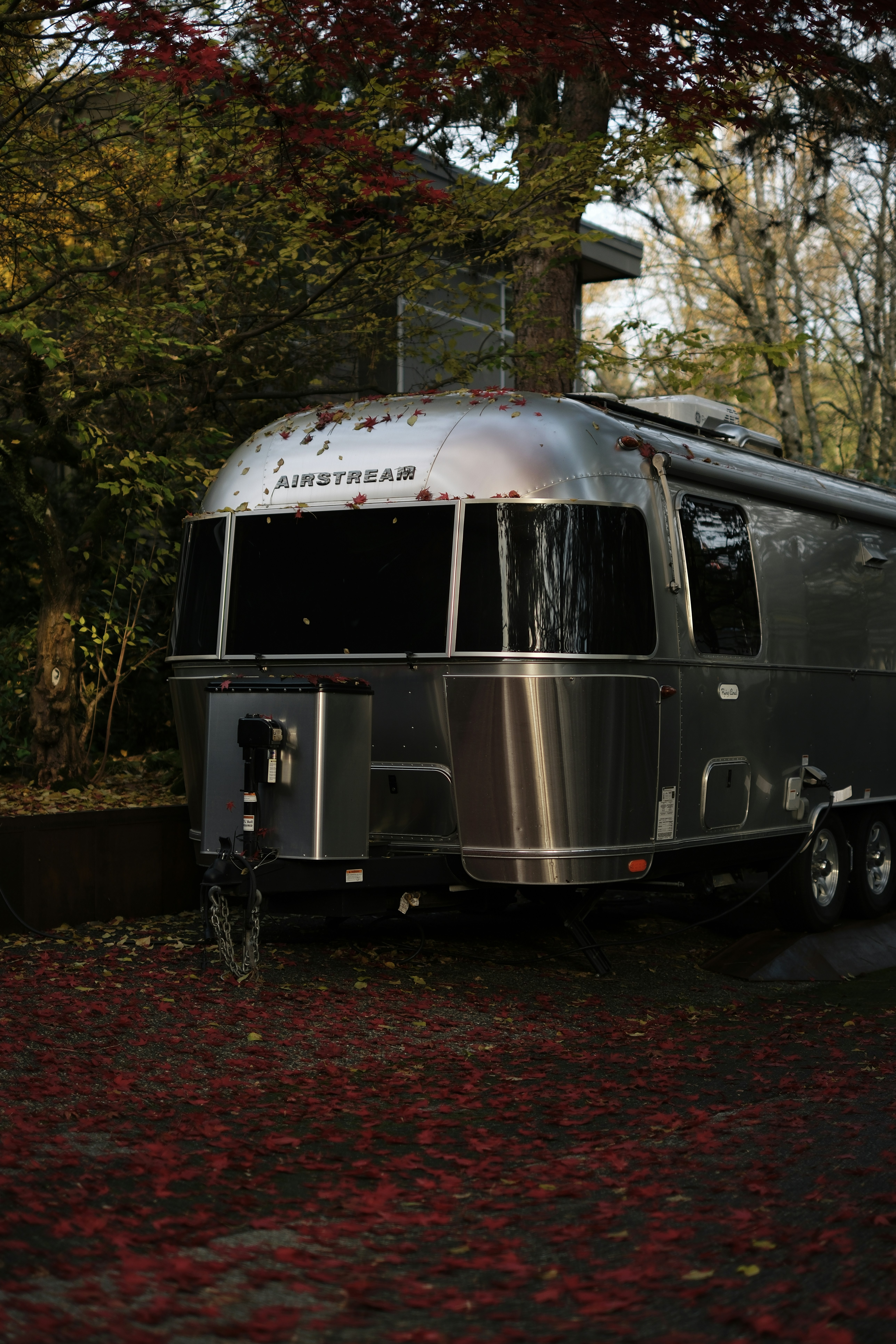 Autumn Refuge: The Shiny Airstream Under Crimson Canopy