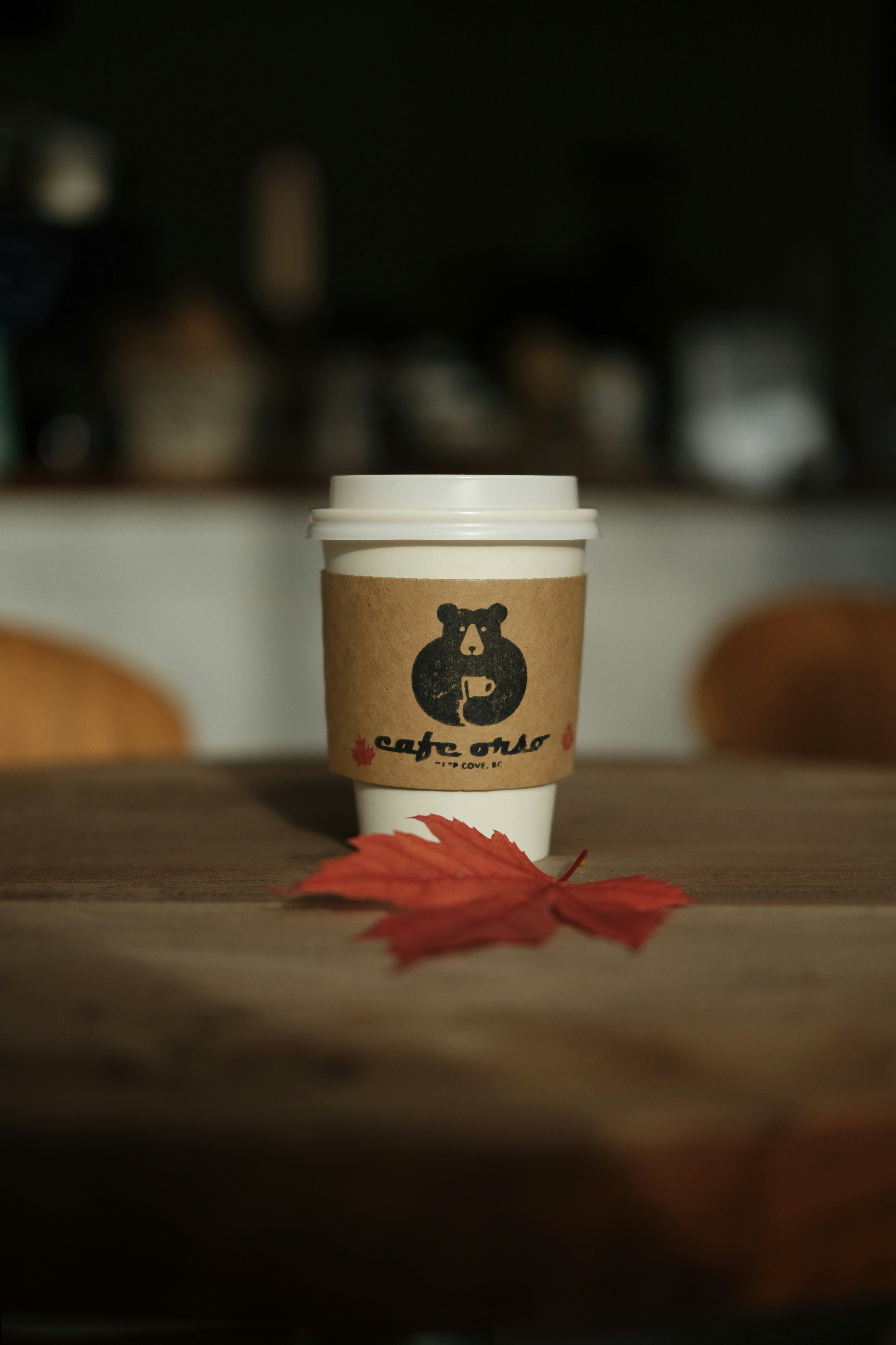 Panda Cup on a Wooden Stage with a Crimson Foreground Leaf