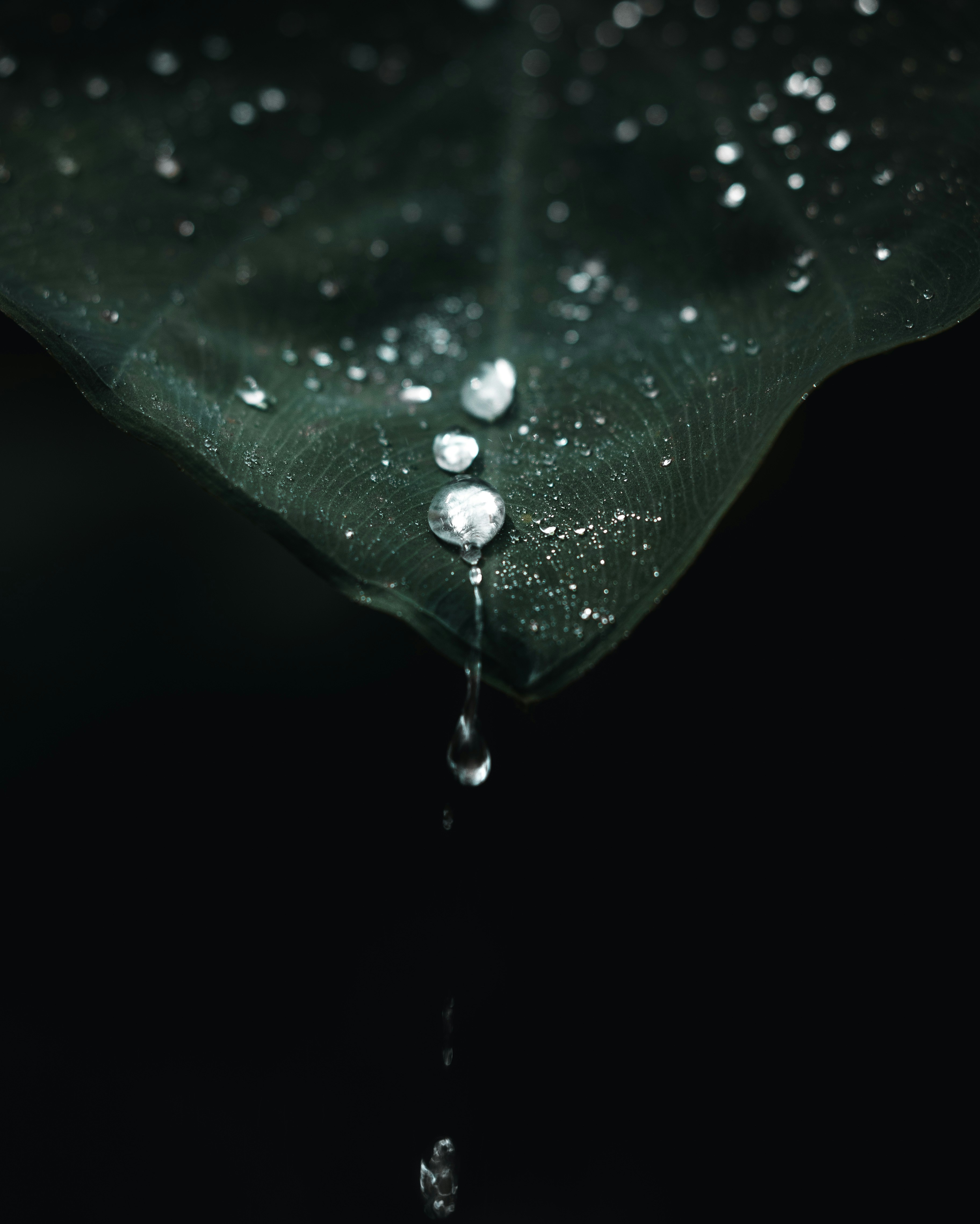 Photo by Valeriia Neganova with Canon EOS R6