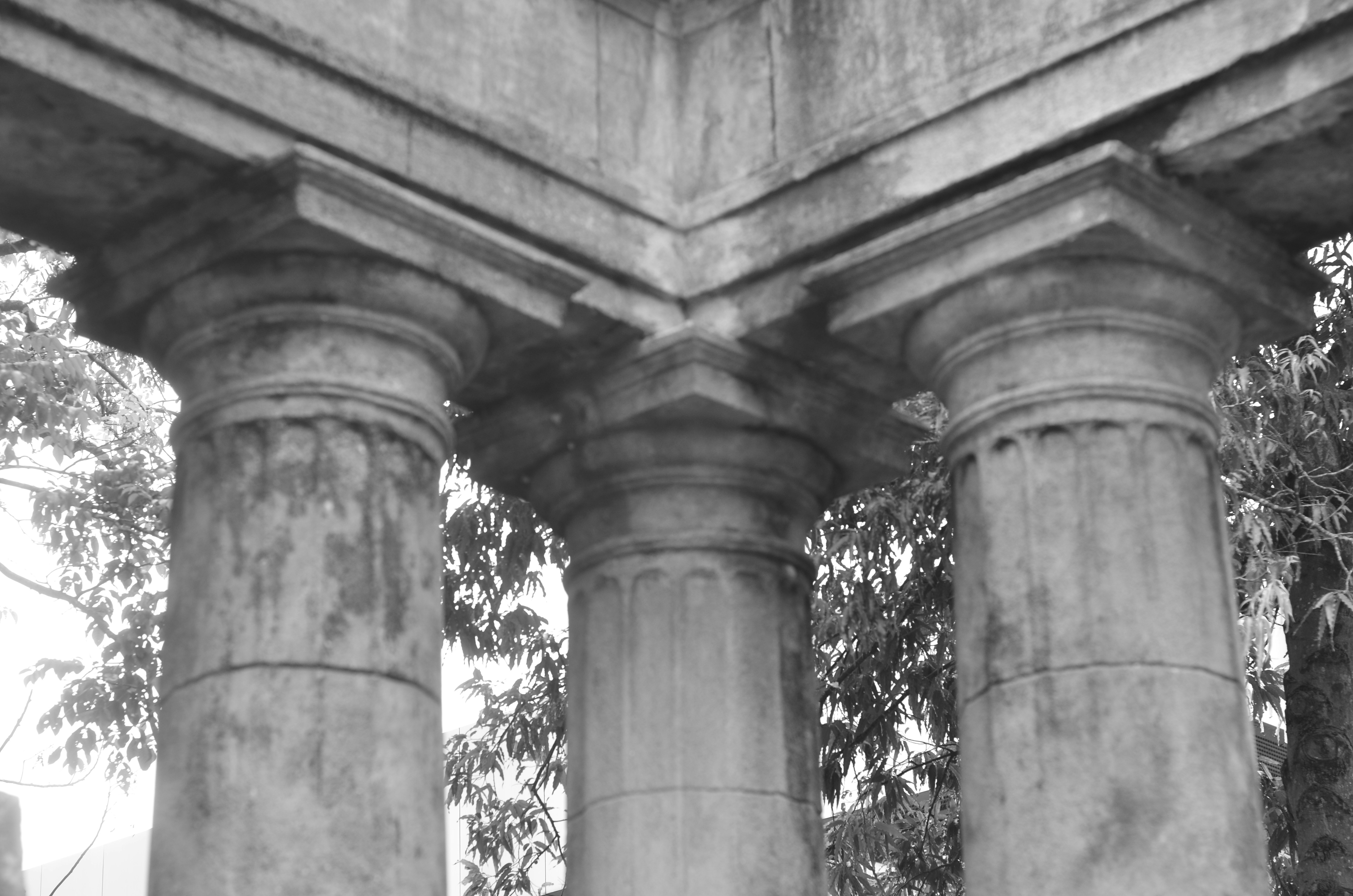 Photo by Jonathan Frank with Nikon D7000