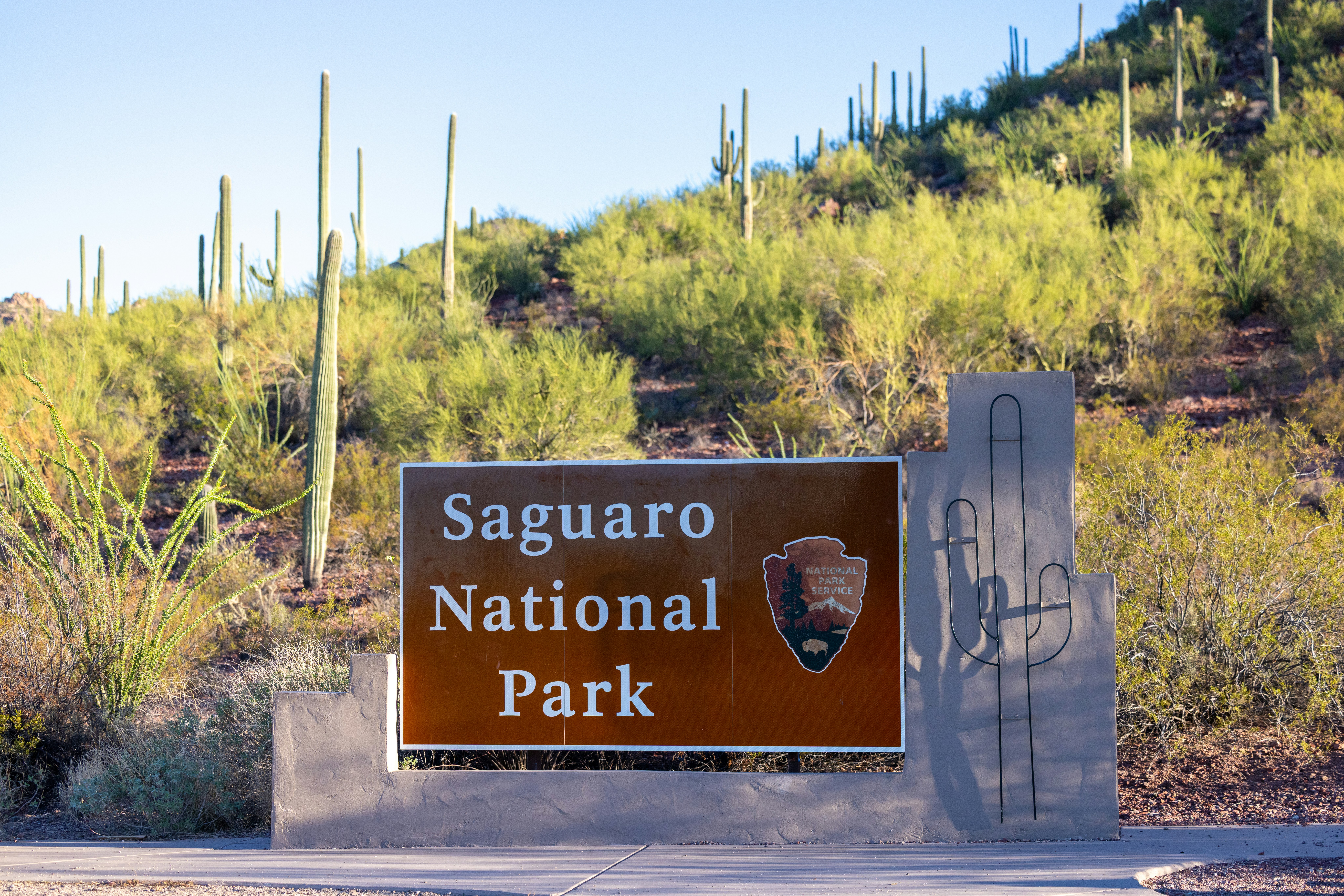 Entrance sign for saguaro national park with cacti. photo – Free Desert ...