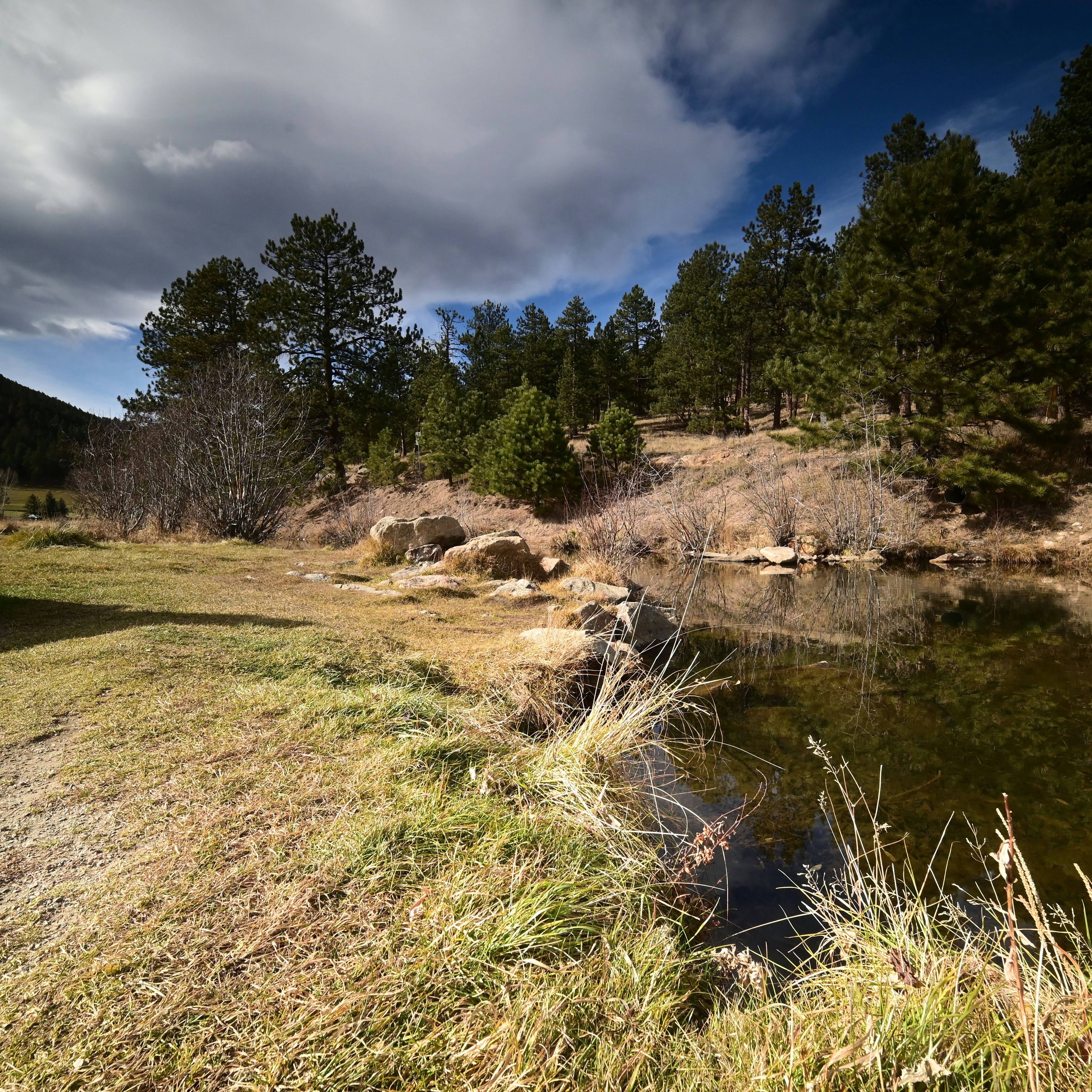 Lakeside Pines at Golden Hour Fold