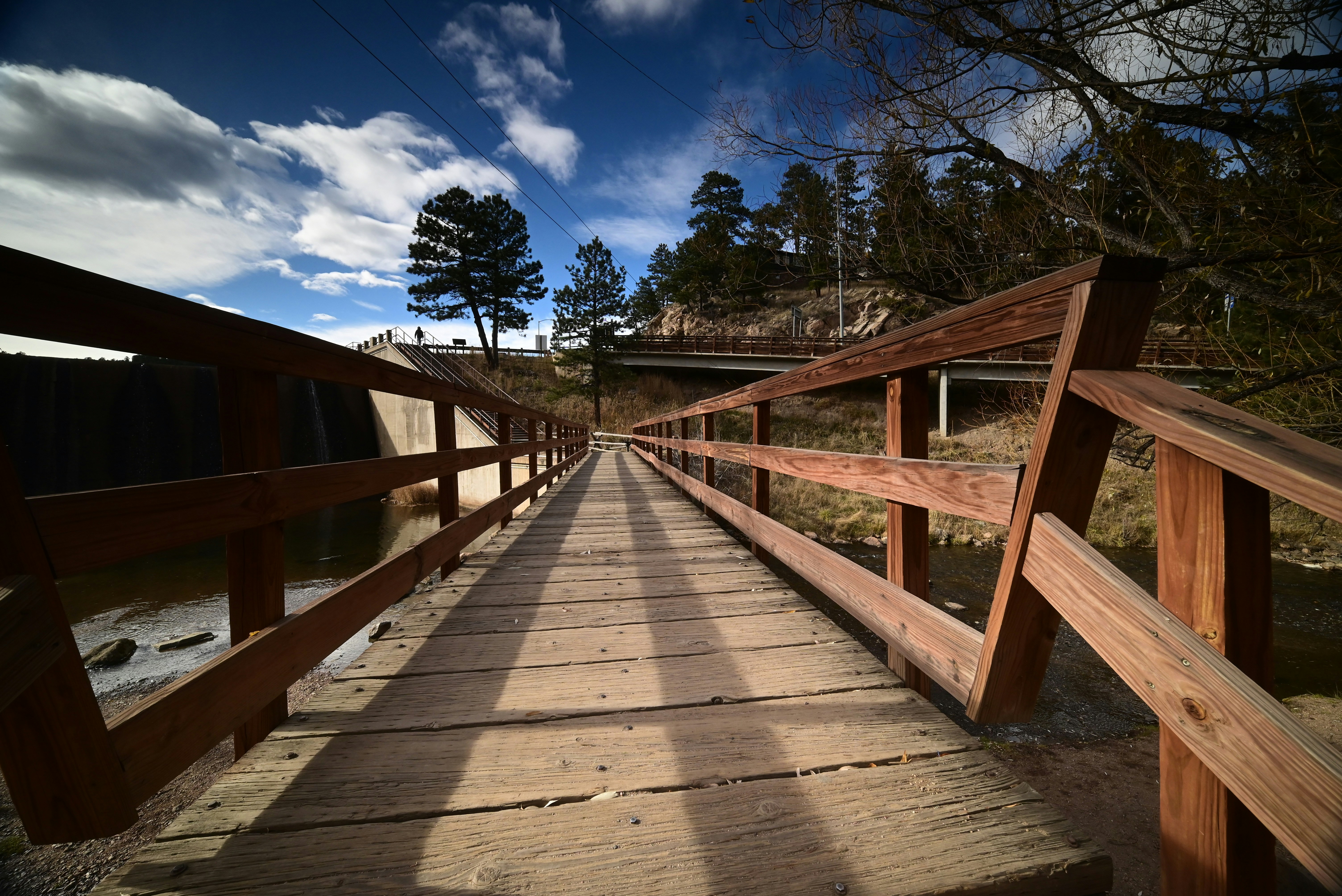Vanishing Bridge: A Wooden Walkway Draws the Eye Toward Distant Pines