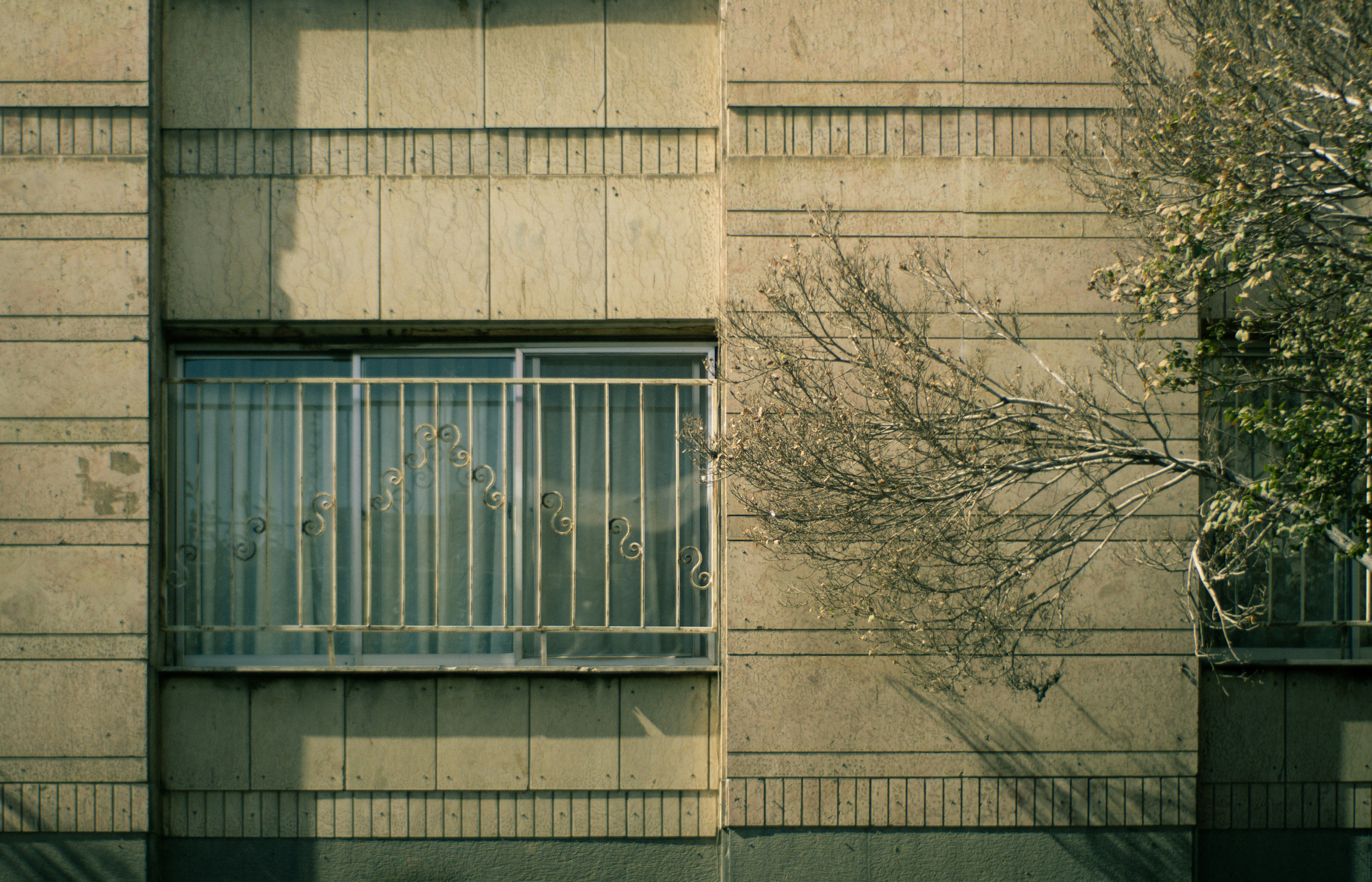 A study in lines, light, and shadow.