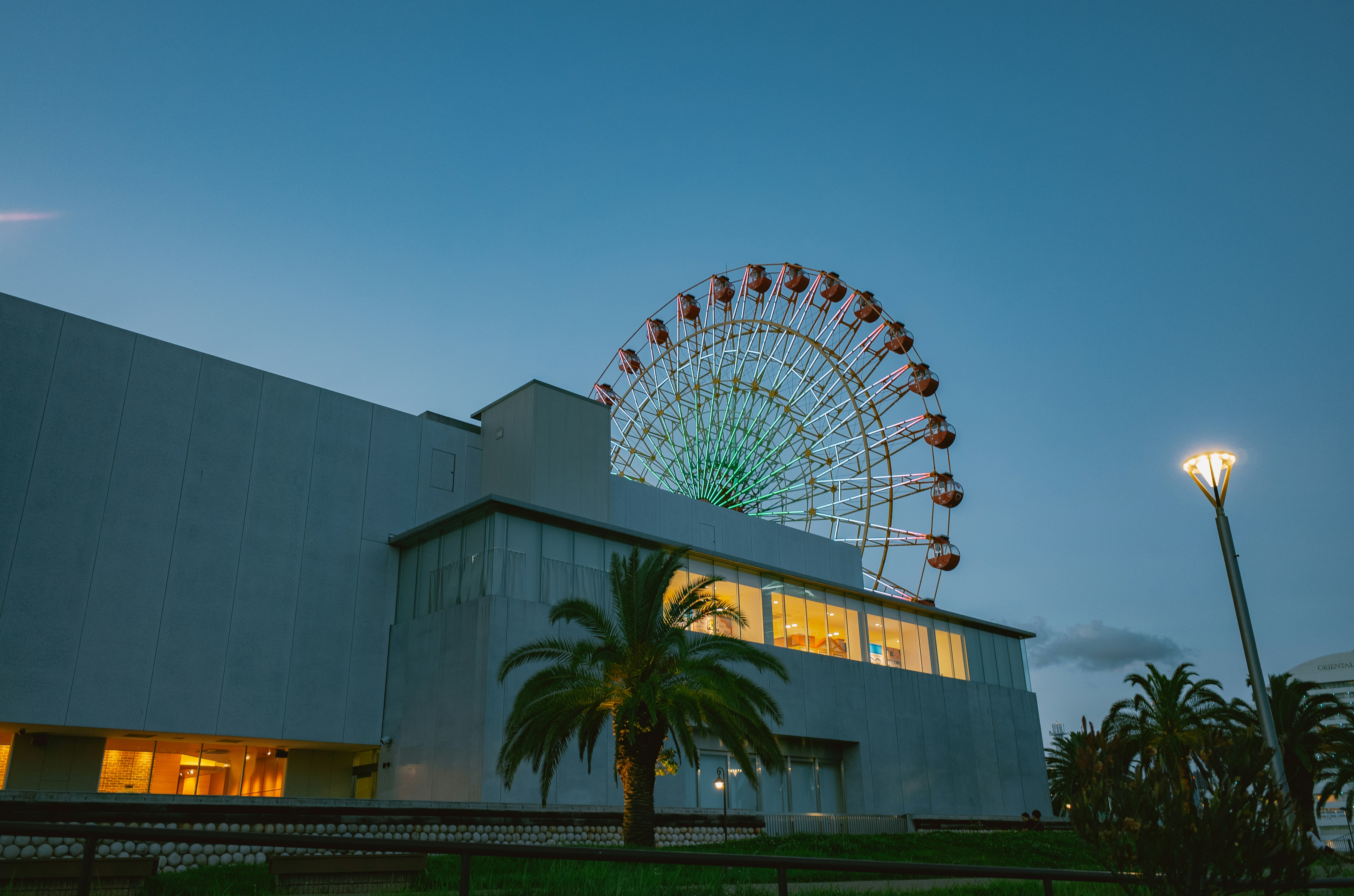 Dusk Over Palm-Fringed Campus: Ferris Wheel Rises Behind a Modern Block