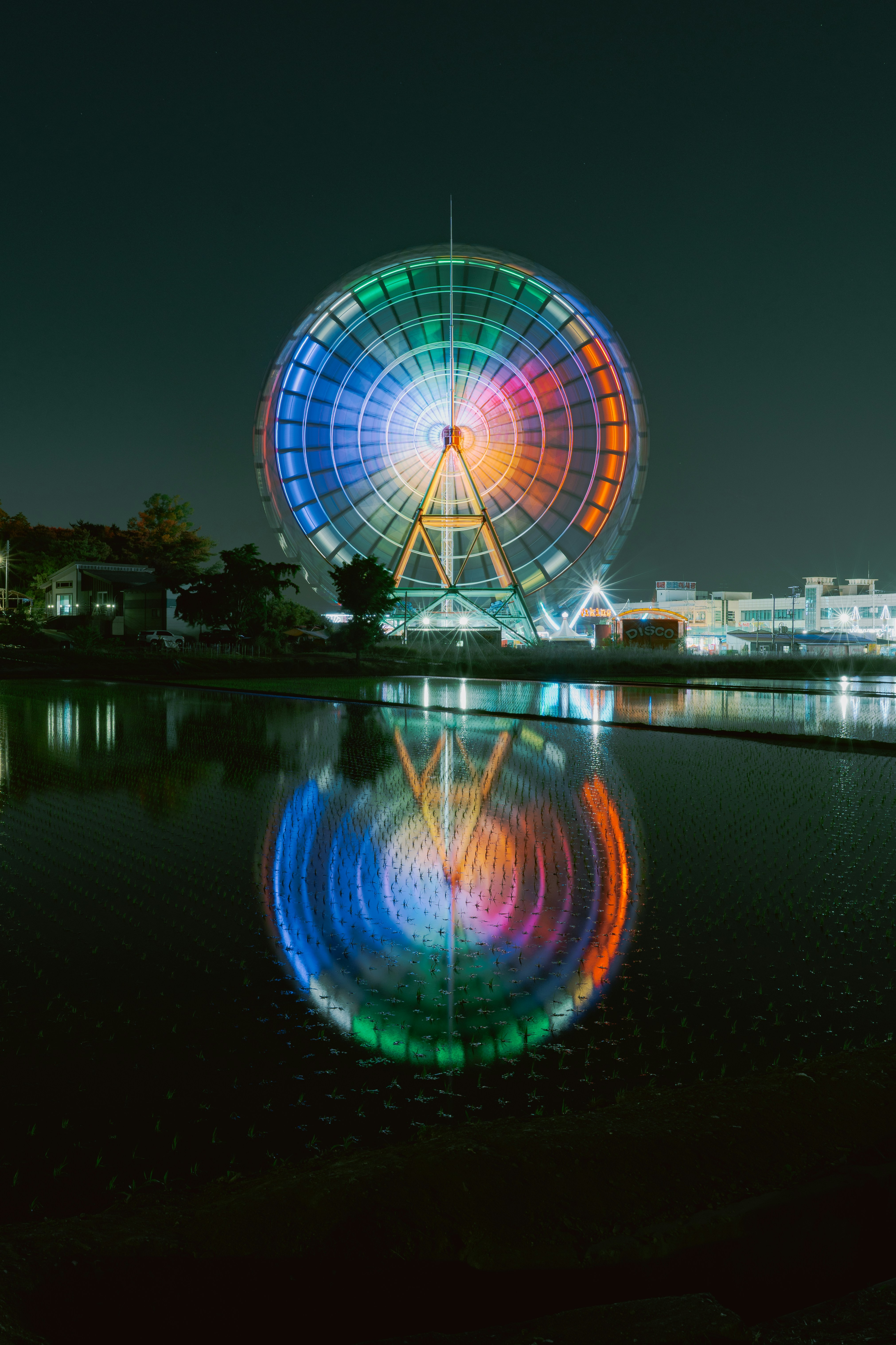 Vivid Orbit: Night Ferris Wheel Reflected in Water