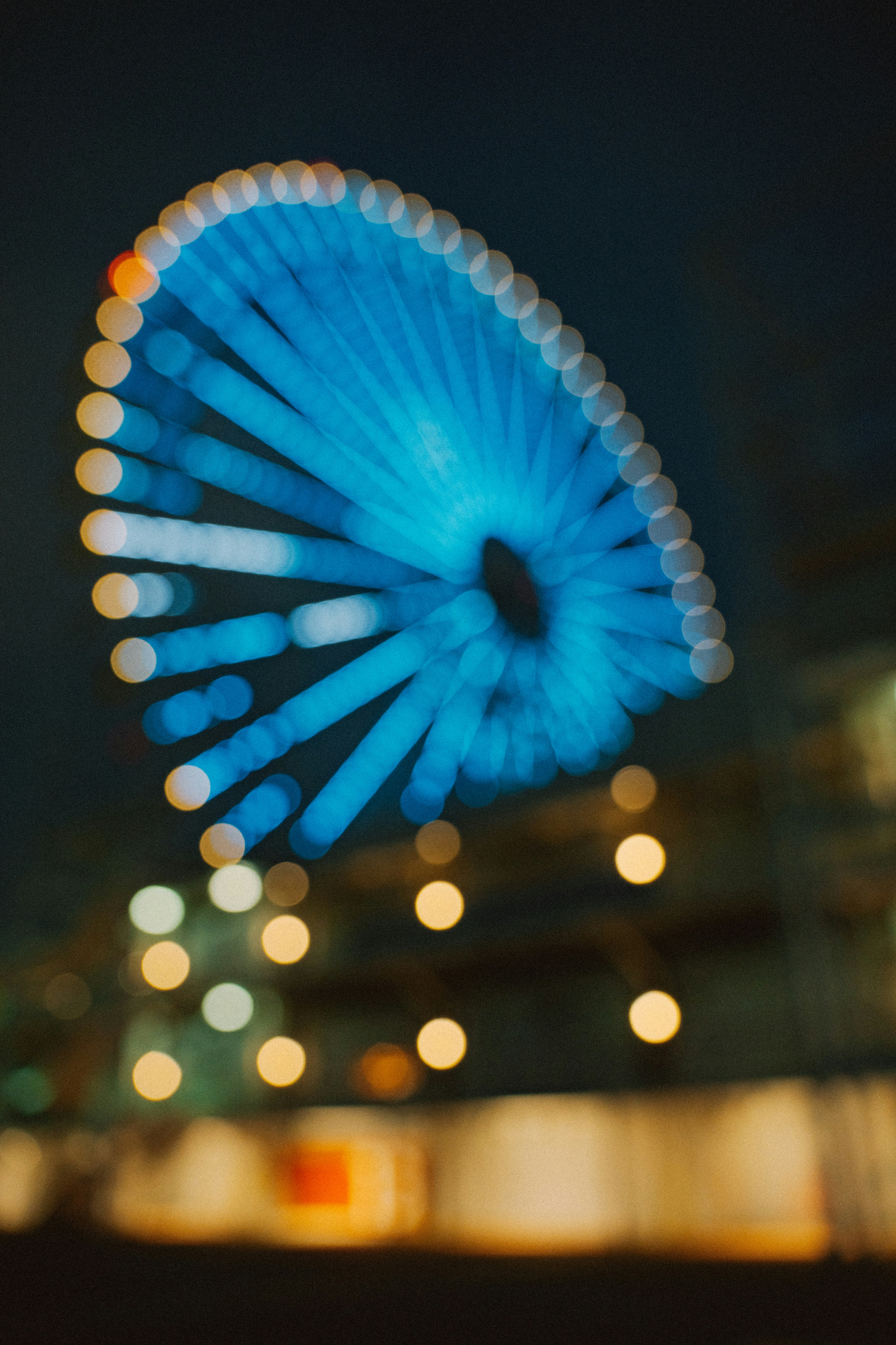 Photo by PJH with Sony Alpha 7 IV