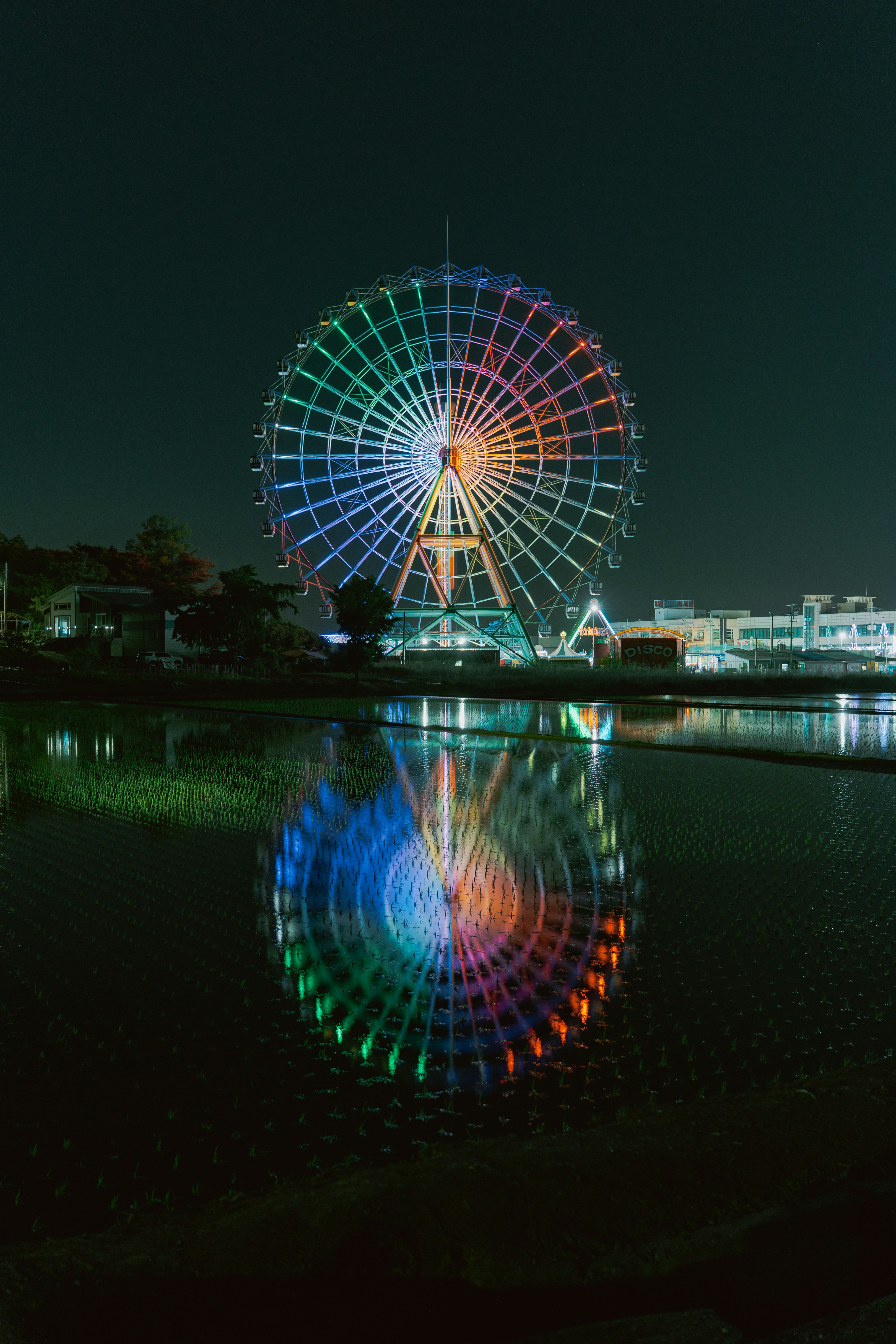 Prismatic Ferris Wheel: Neon Reflections on a Quiet Waterfront