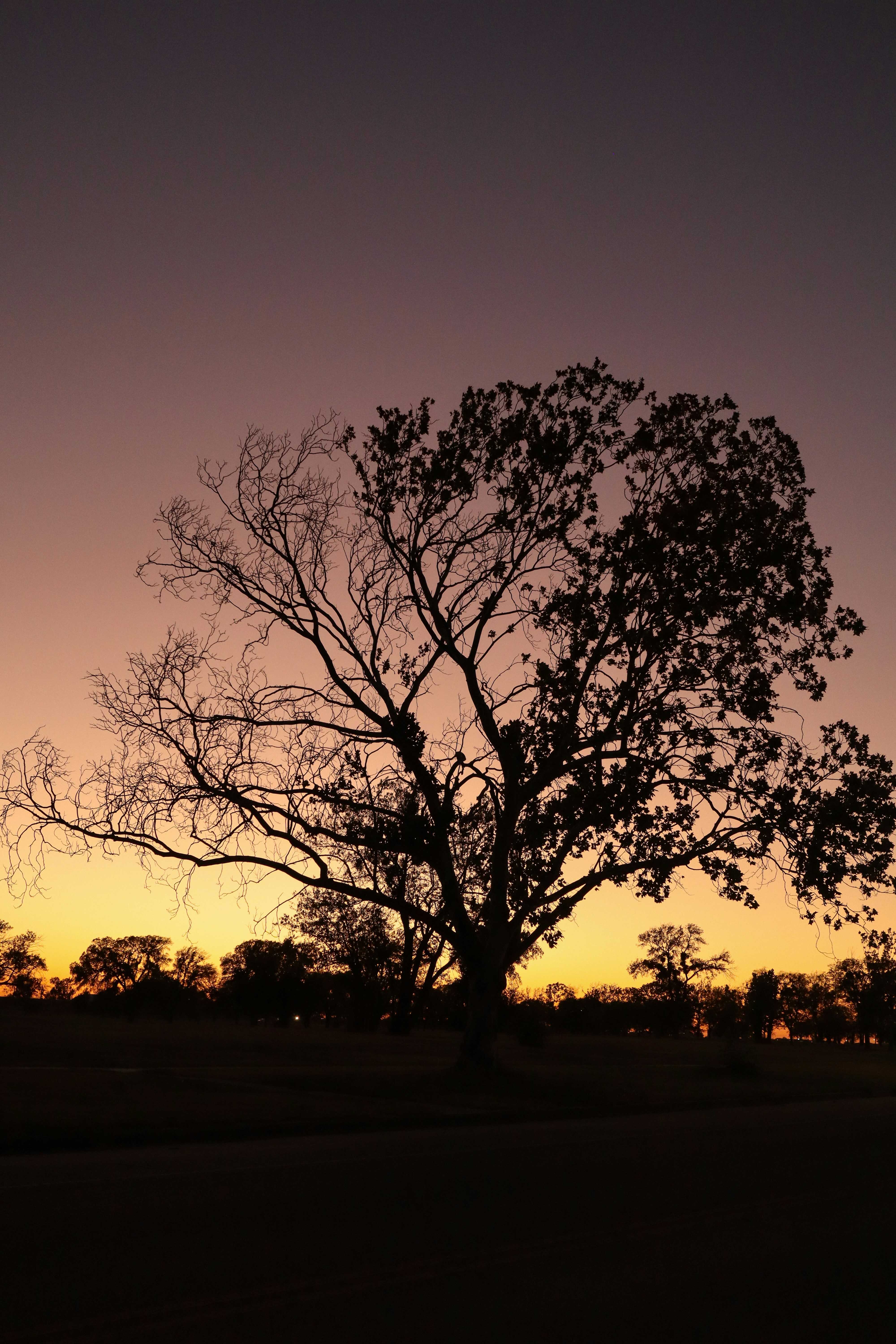 Photo by silvia with Canon EOS M50 Mark II