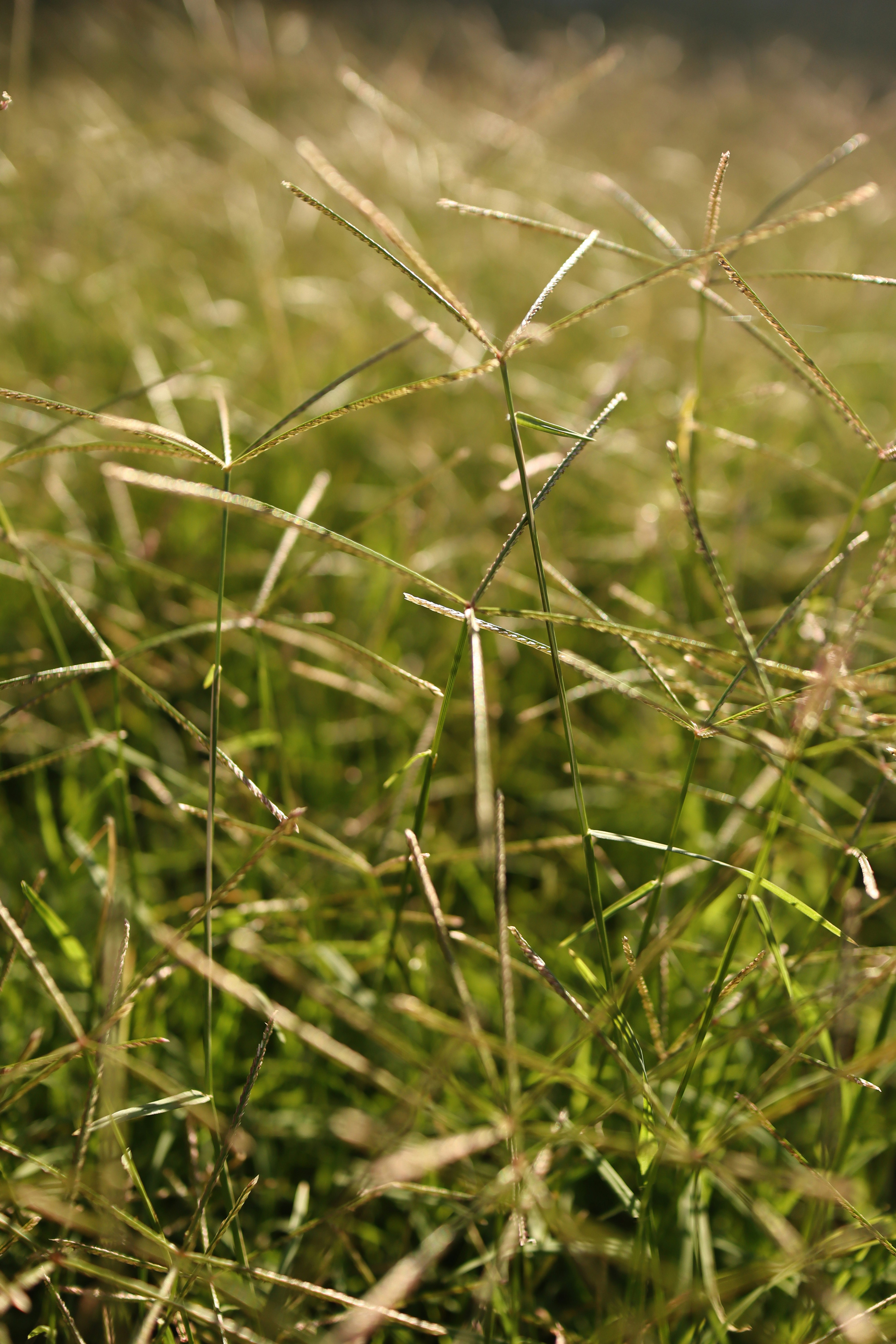 Photo by silvia with Canon EOS M50 Mark II