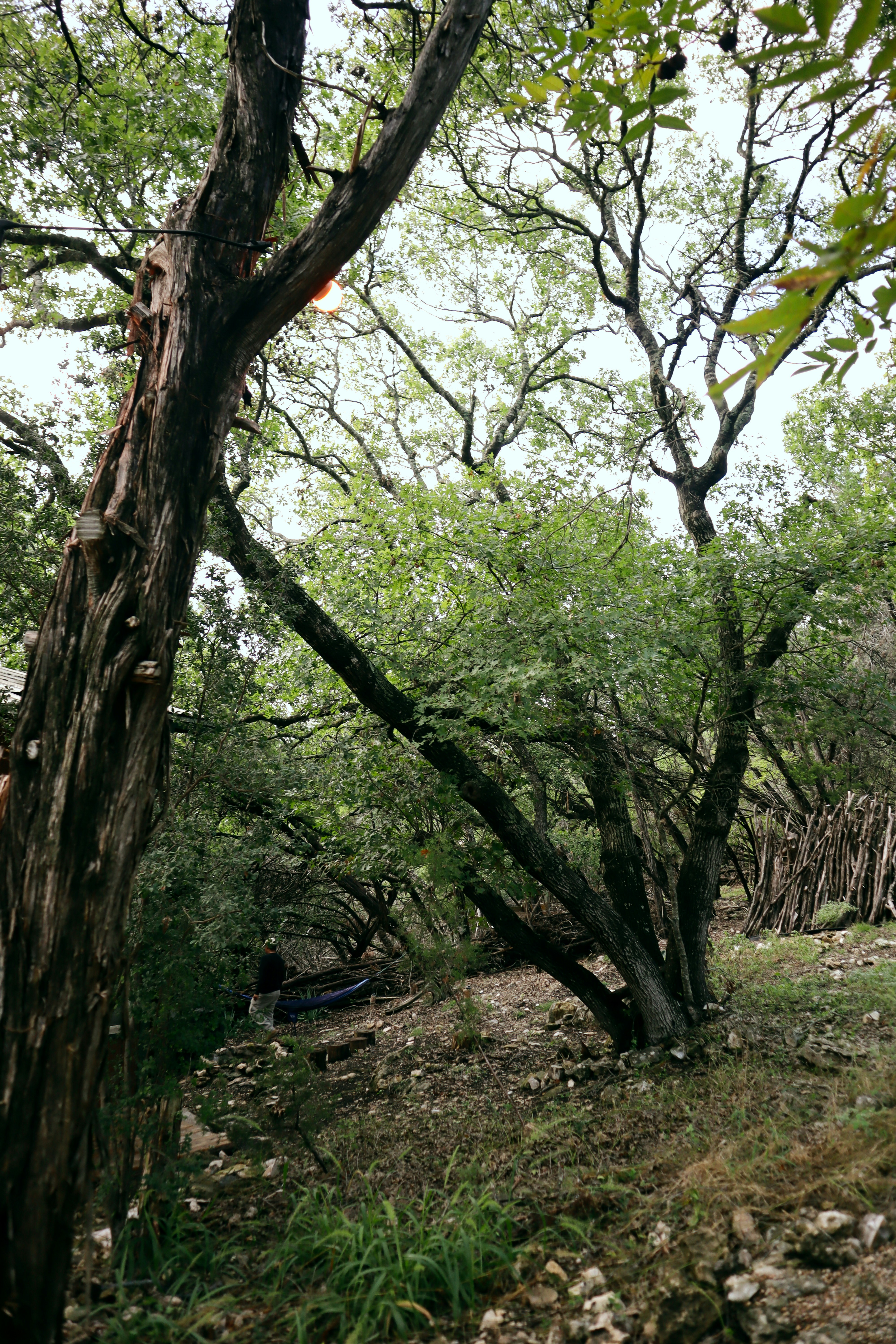 Photo by silvia with Canon EOS M50 Mark II