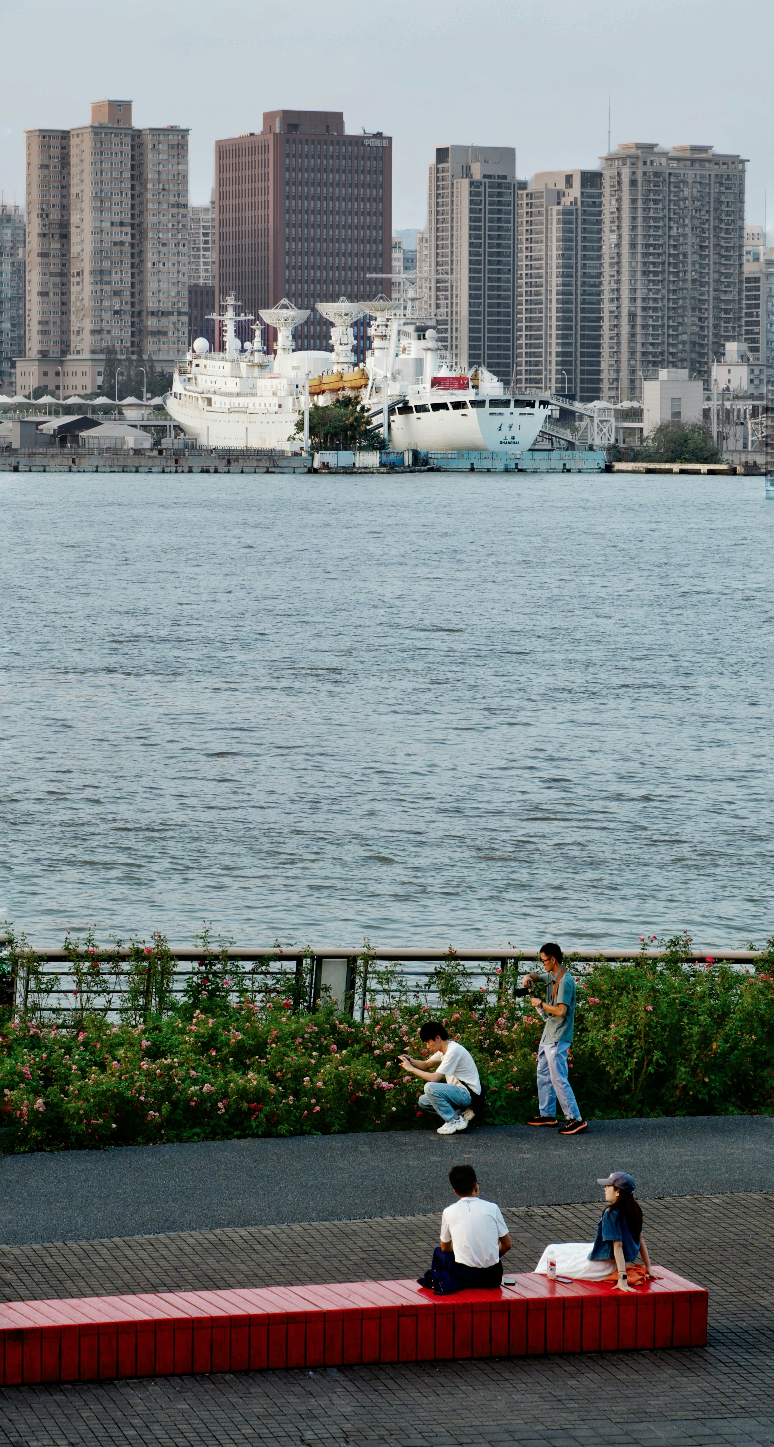 Dockside Giants Framed by a Modern City Skyline