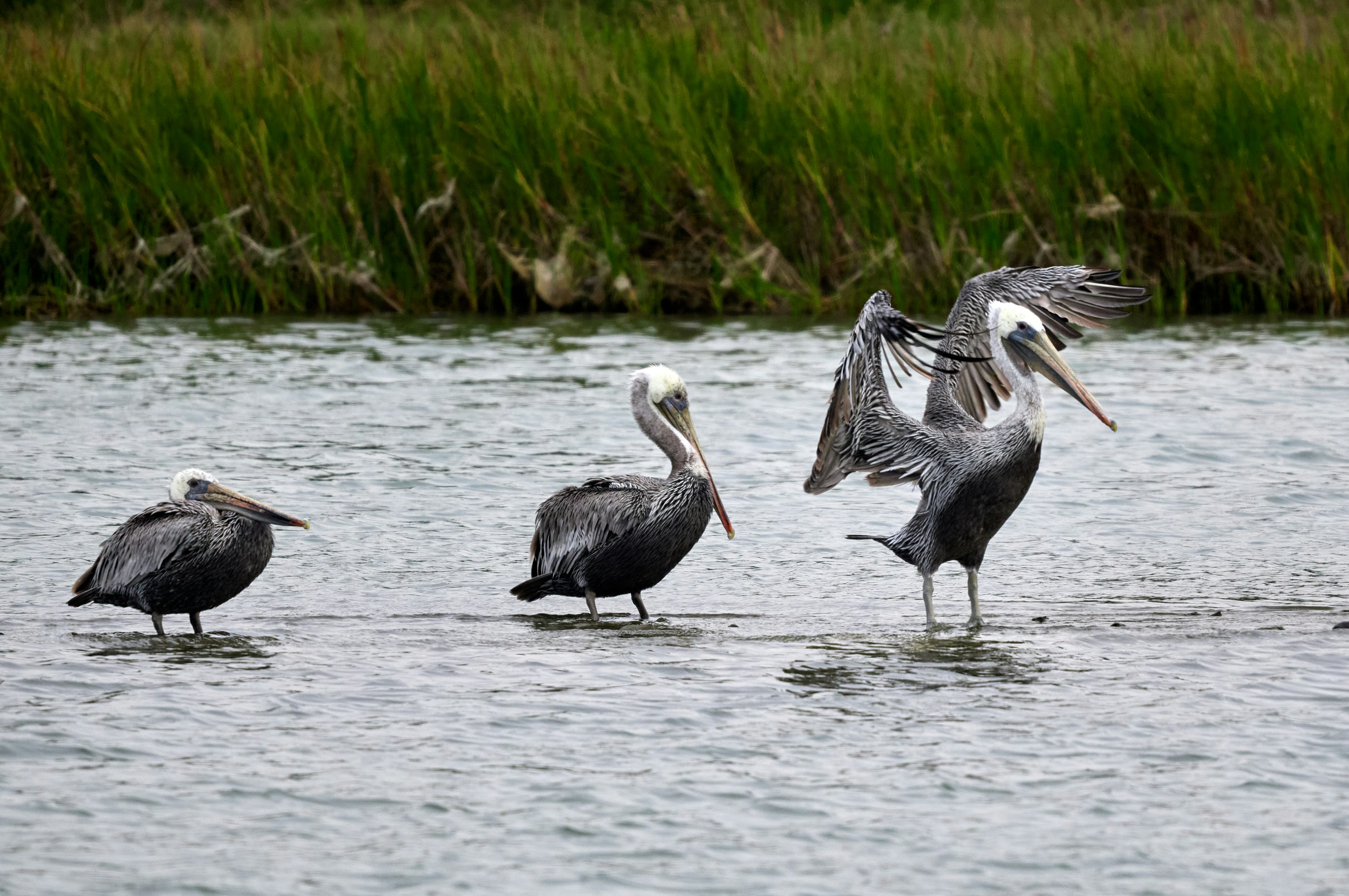 Photo by Luke Yang with Sigma fp L