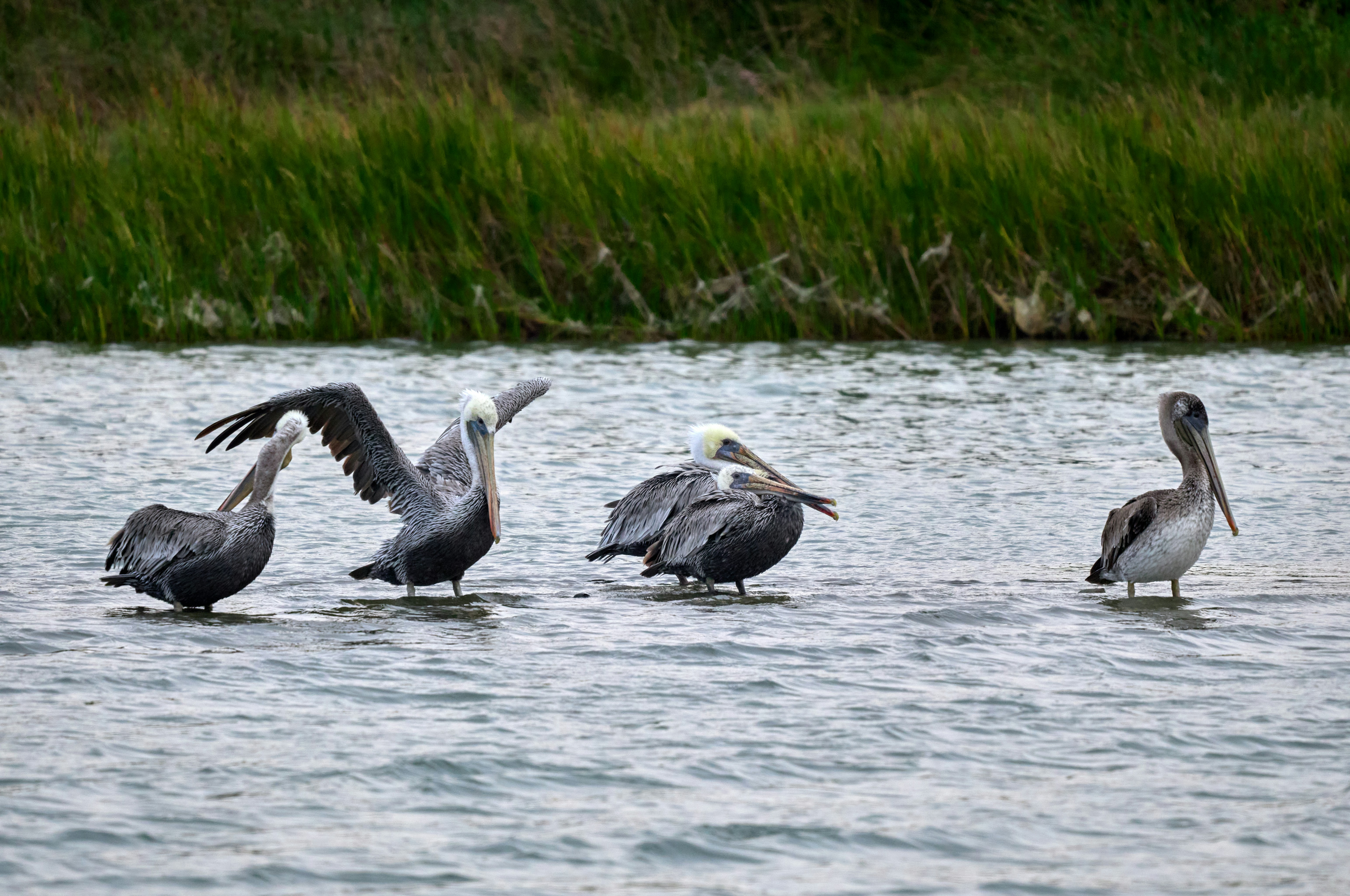 Photo by Luke Yang with Sigma fp L