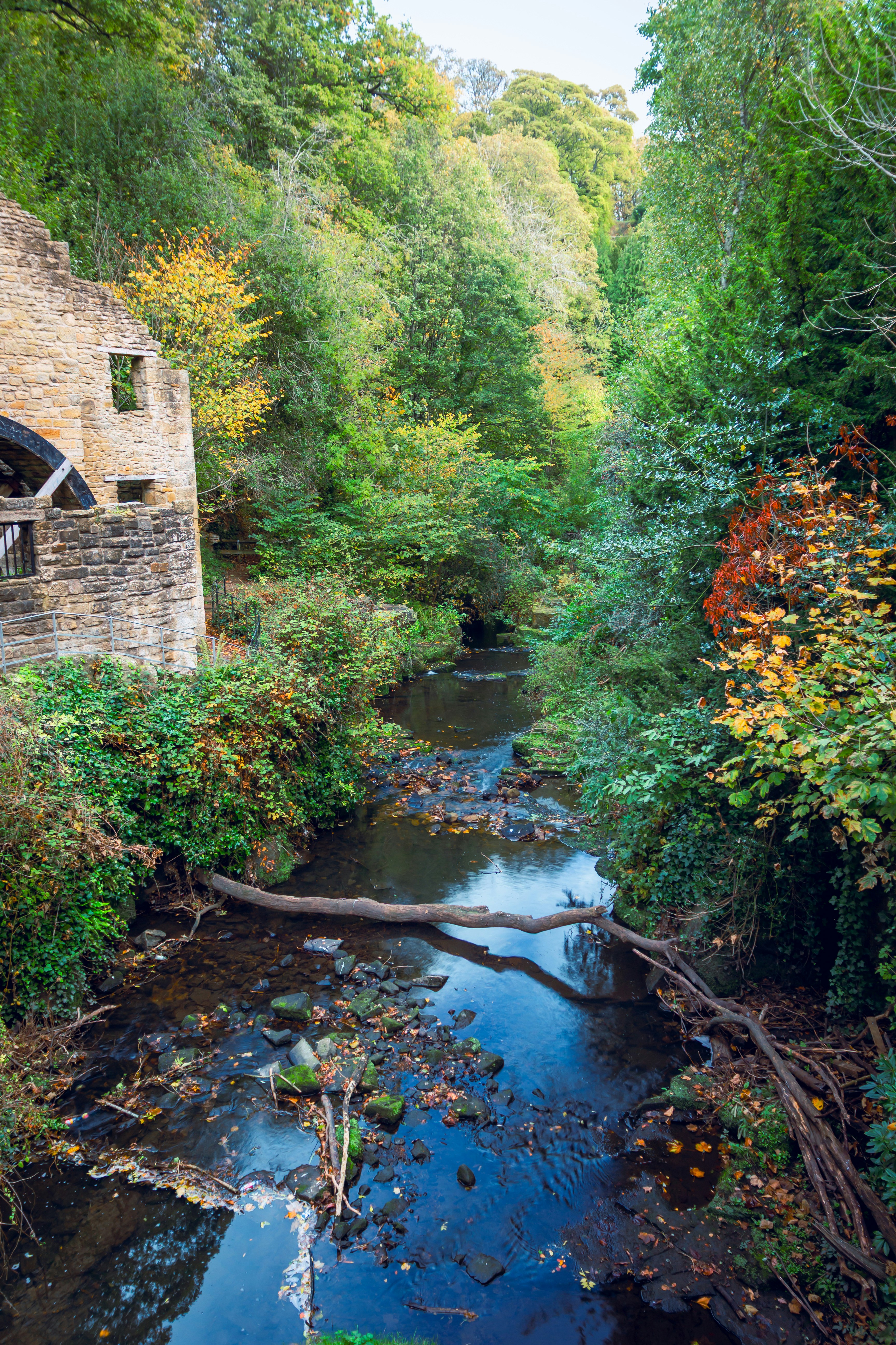 Photo by martin lea with Canon EOS 700D