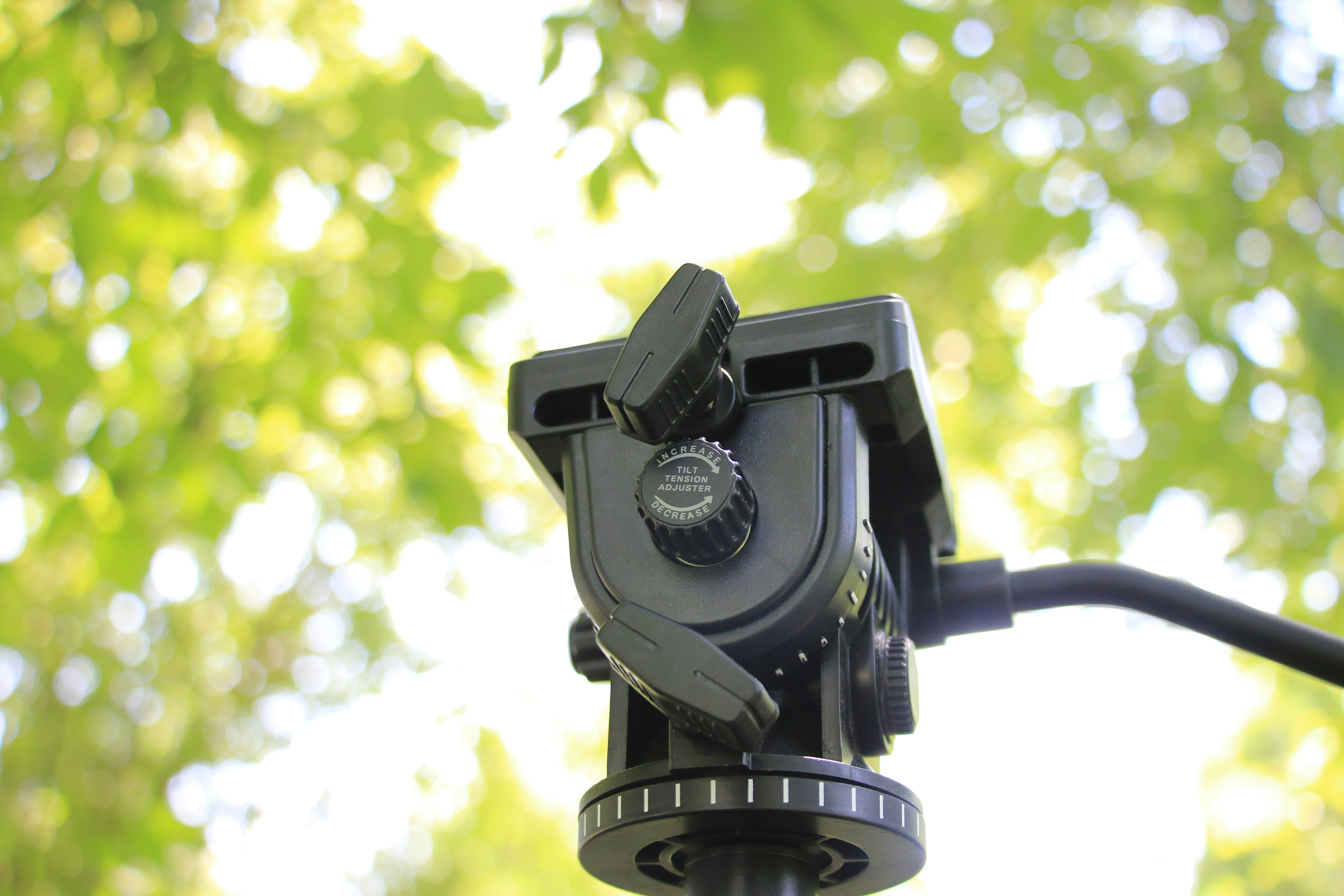 Photo by Ali max with Canon EOS 70D