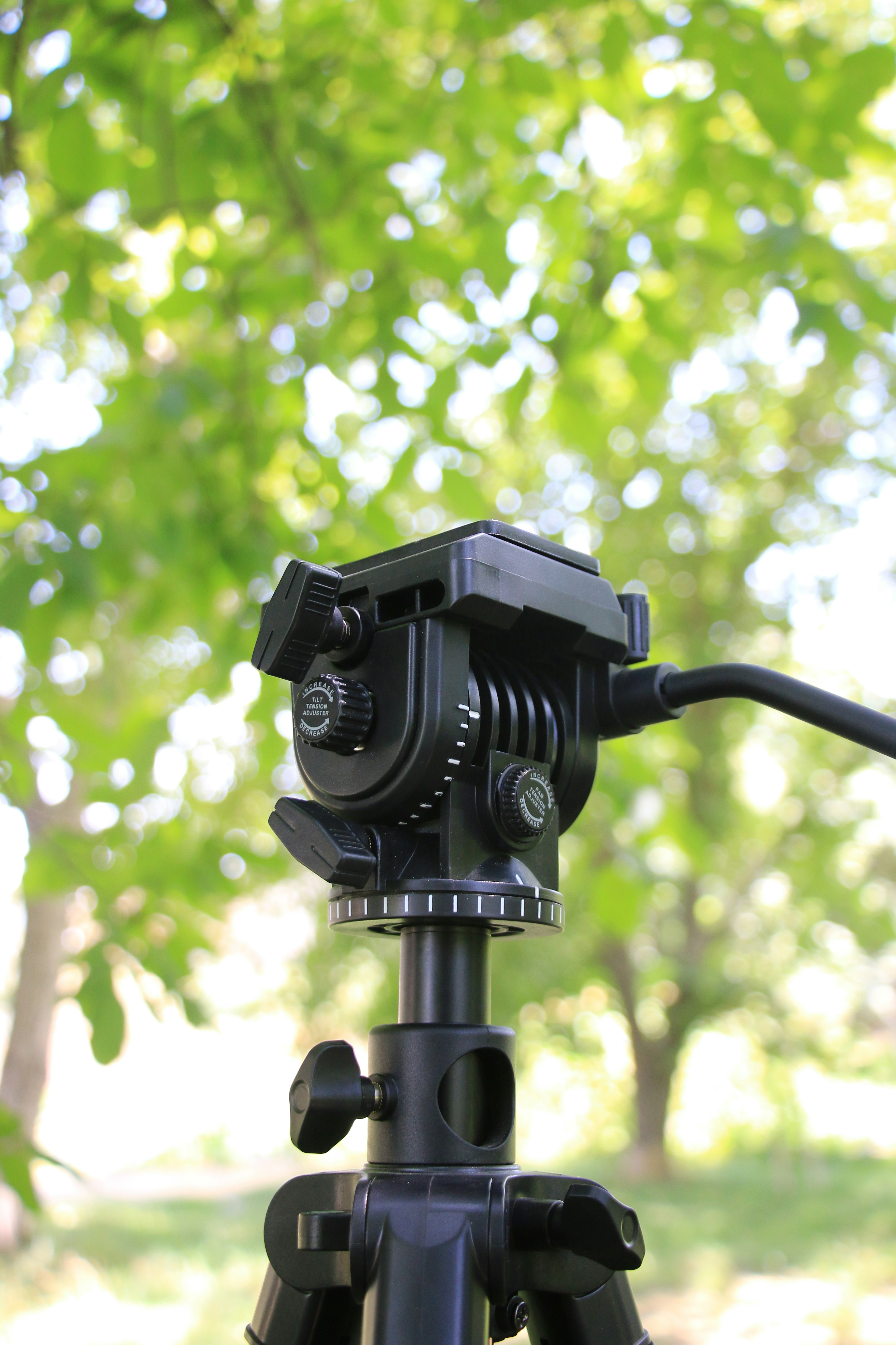 Photo by Ali max with Canon EOS 70D