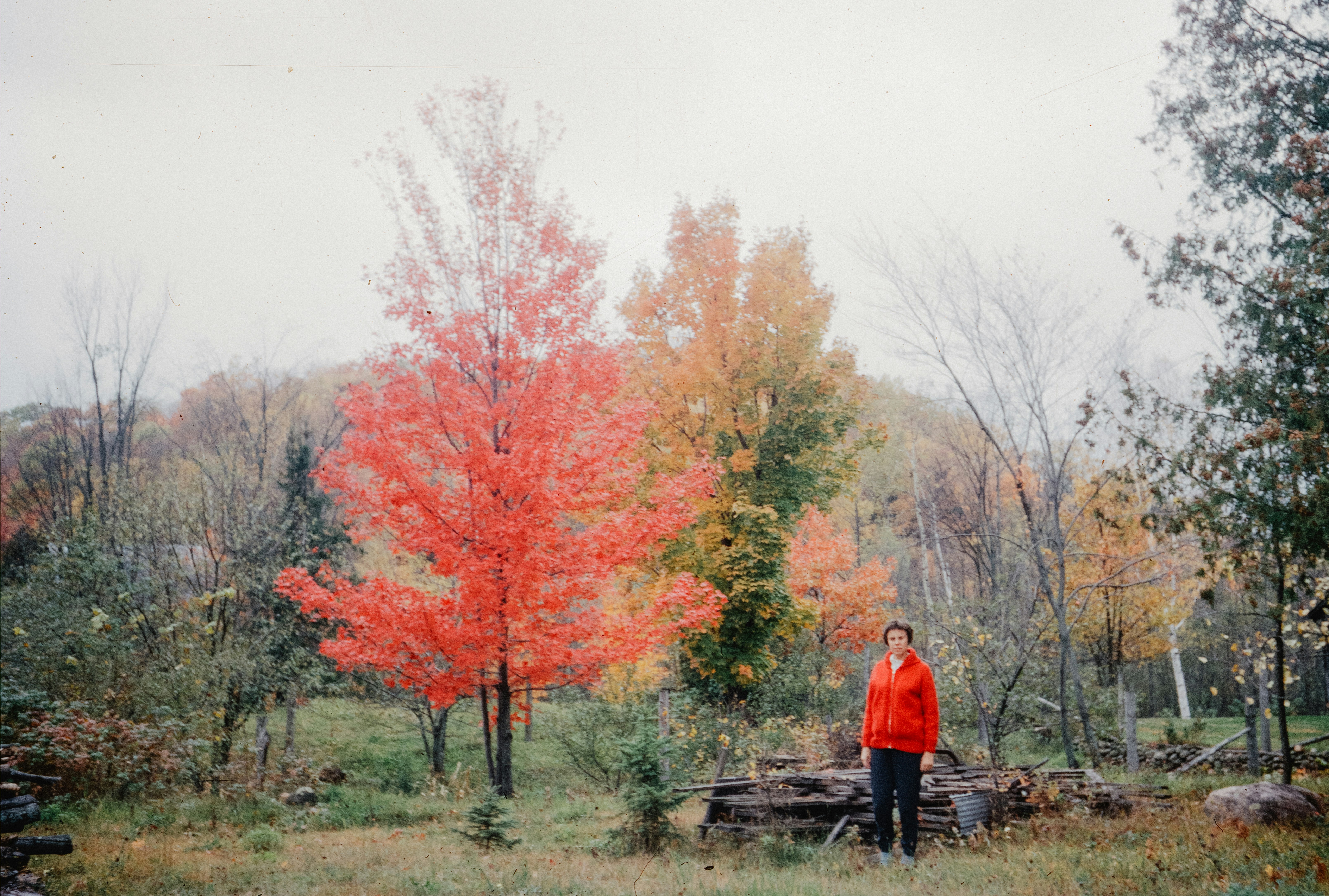 Red-Coated Figure Amid Autumn Arboretum