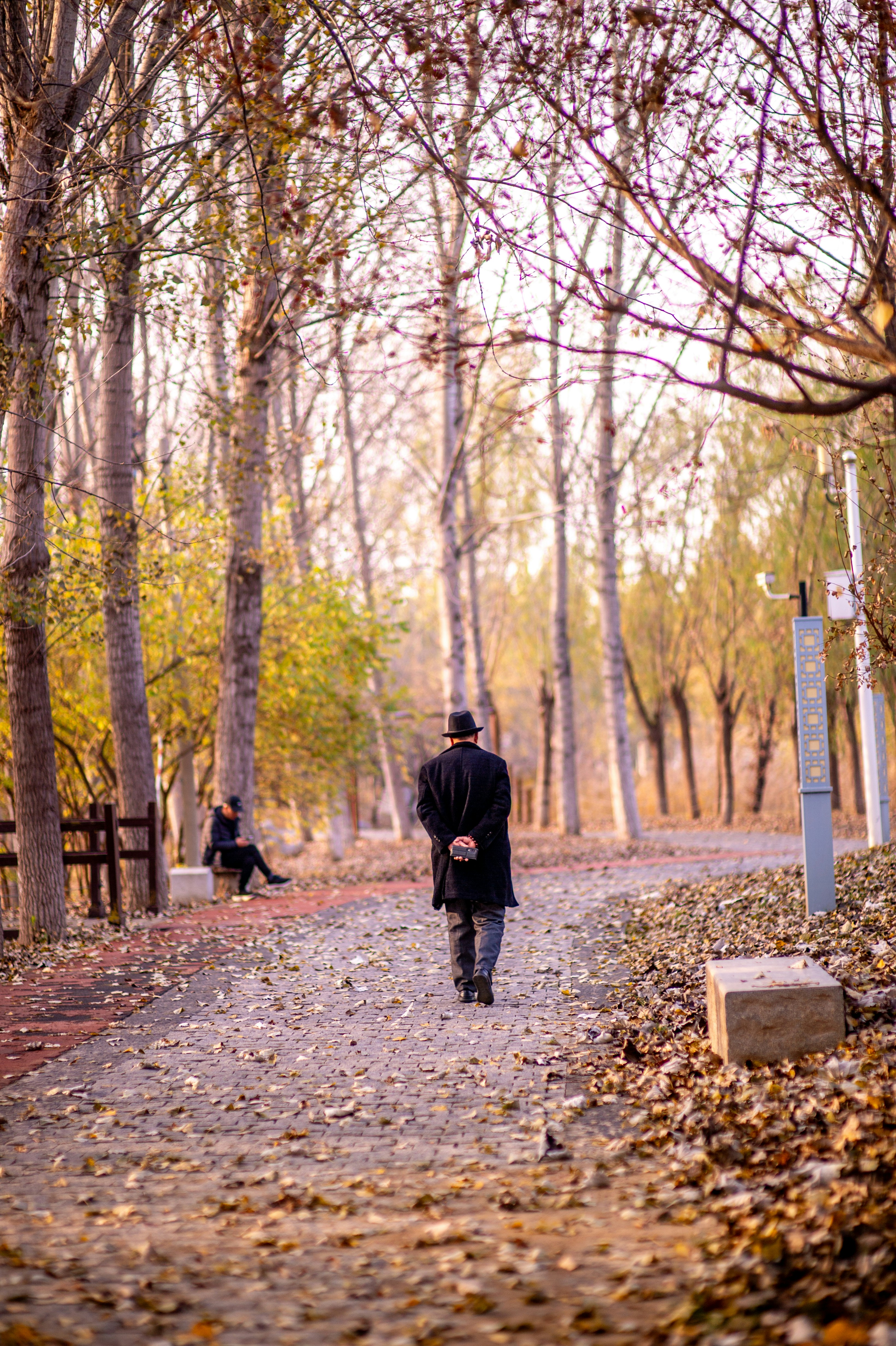 Autumn's Quiet Walk: A Figure in Black on a Leaf-Strewn Park Path