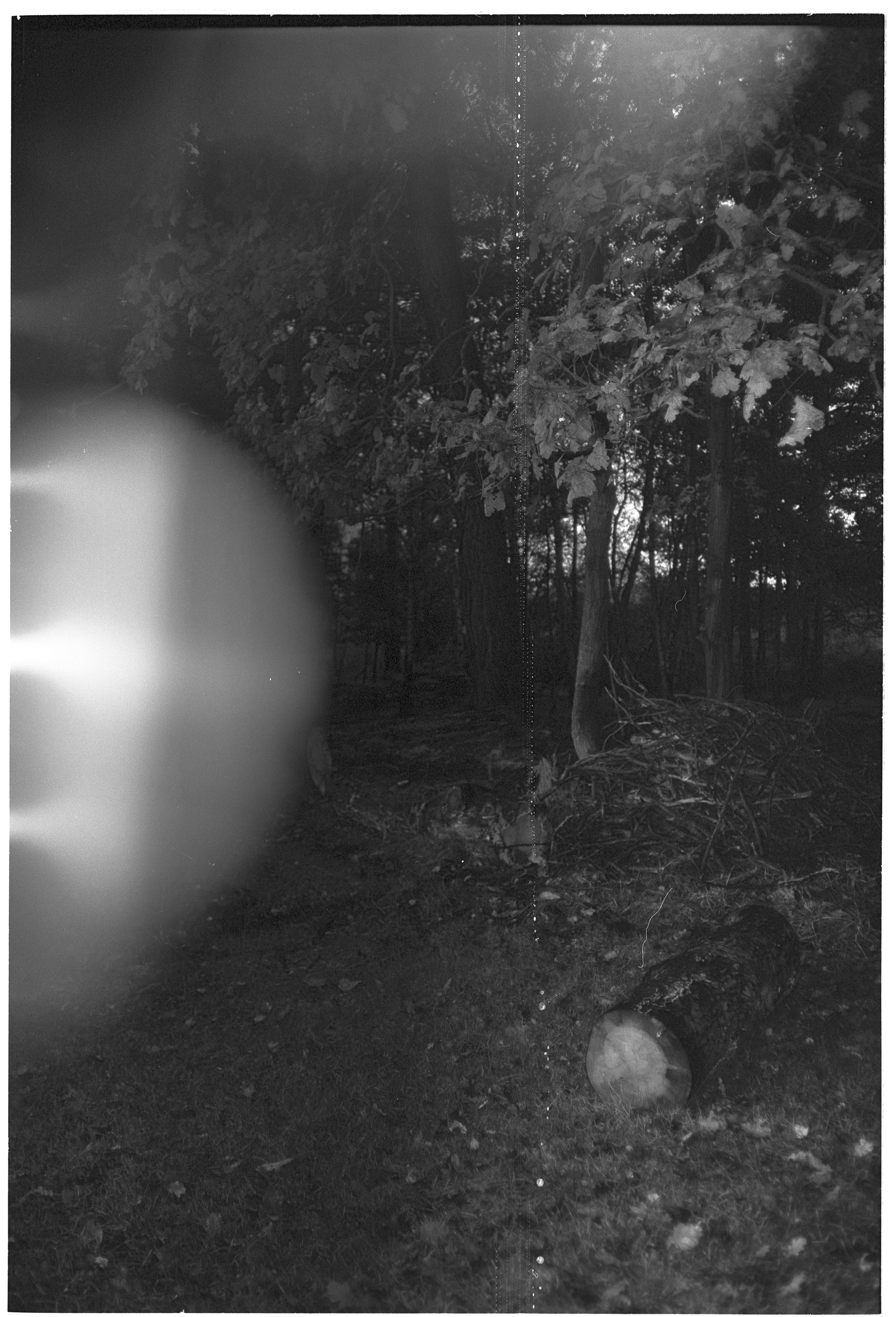 Photo by Tanya Barrow with Plustek OpticFilm 8300i