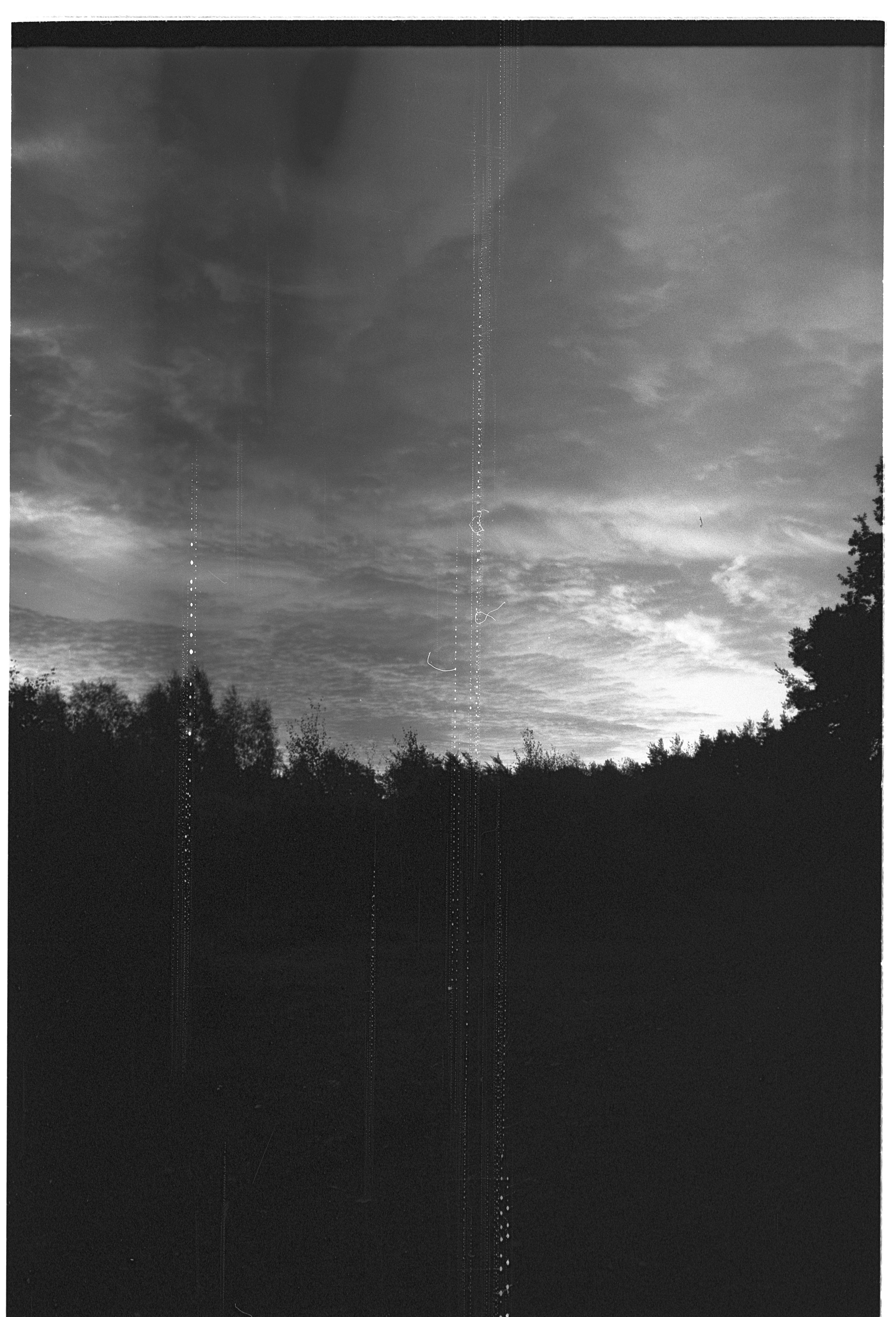 Monochrome Dusk: Silhouetted Horizon with Film Light Leaks