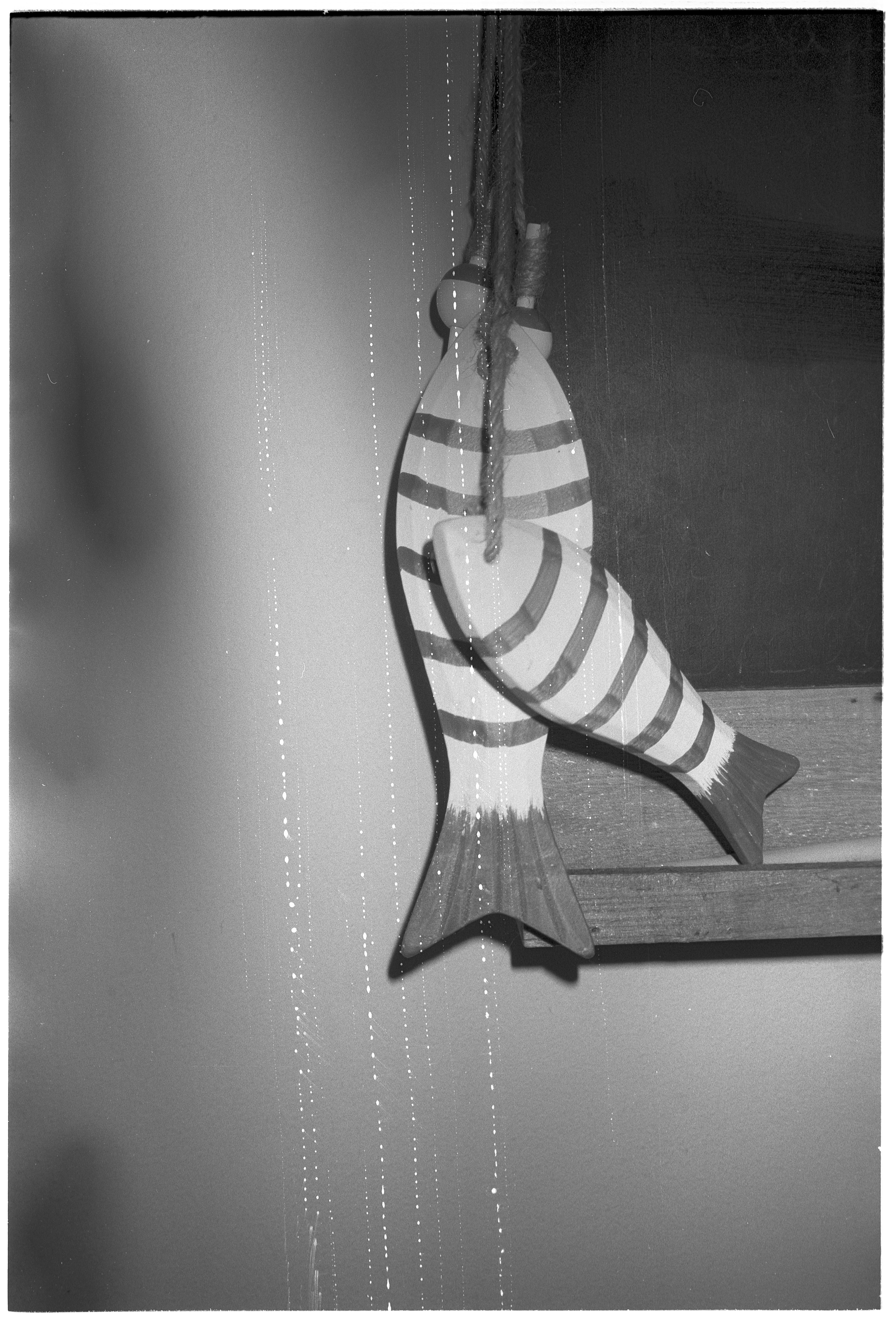 Striped Fish Ornament on a Rope in a Dim Room