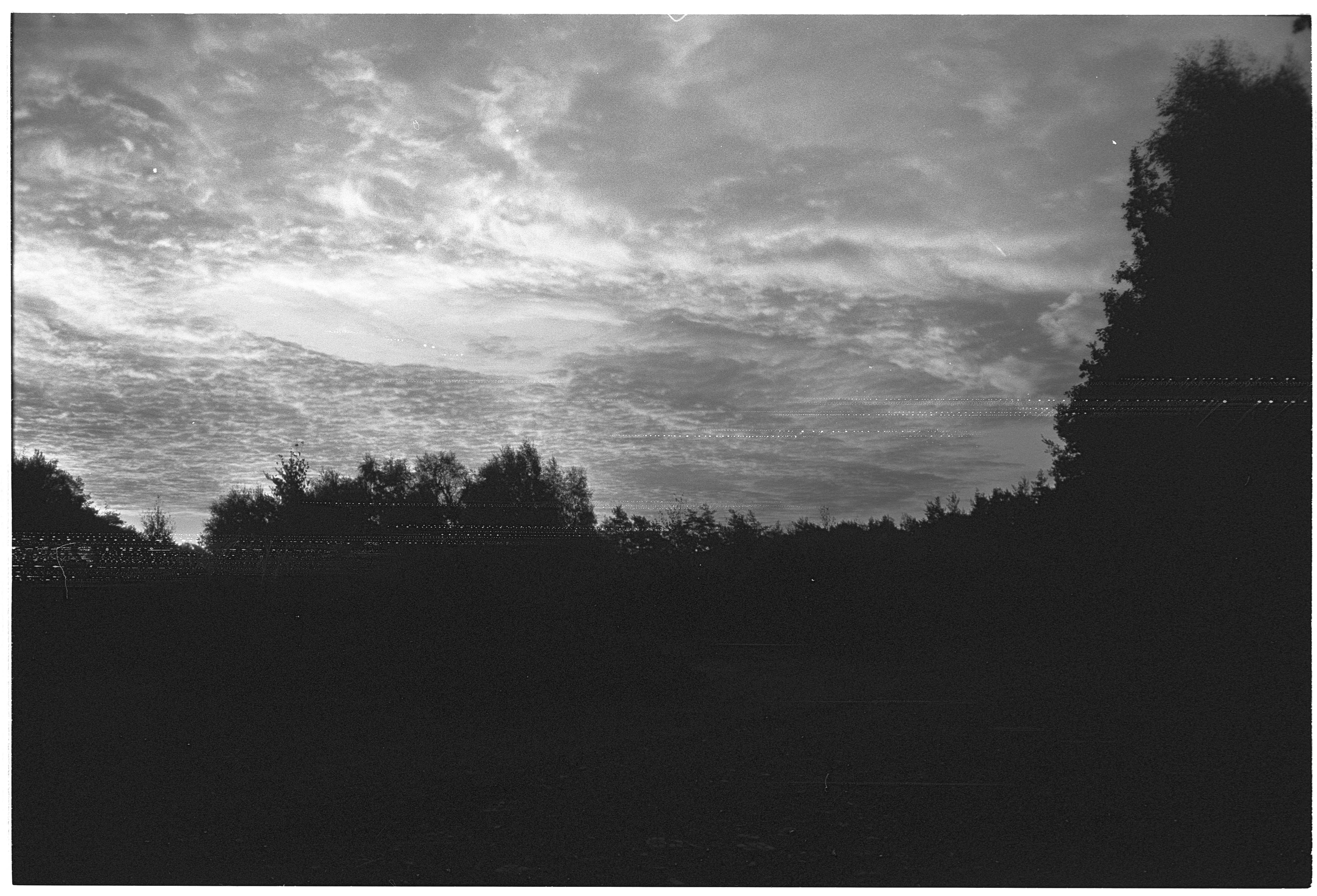 Photo by Tanya Barrow with Plustek OpticFilm 8300i