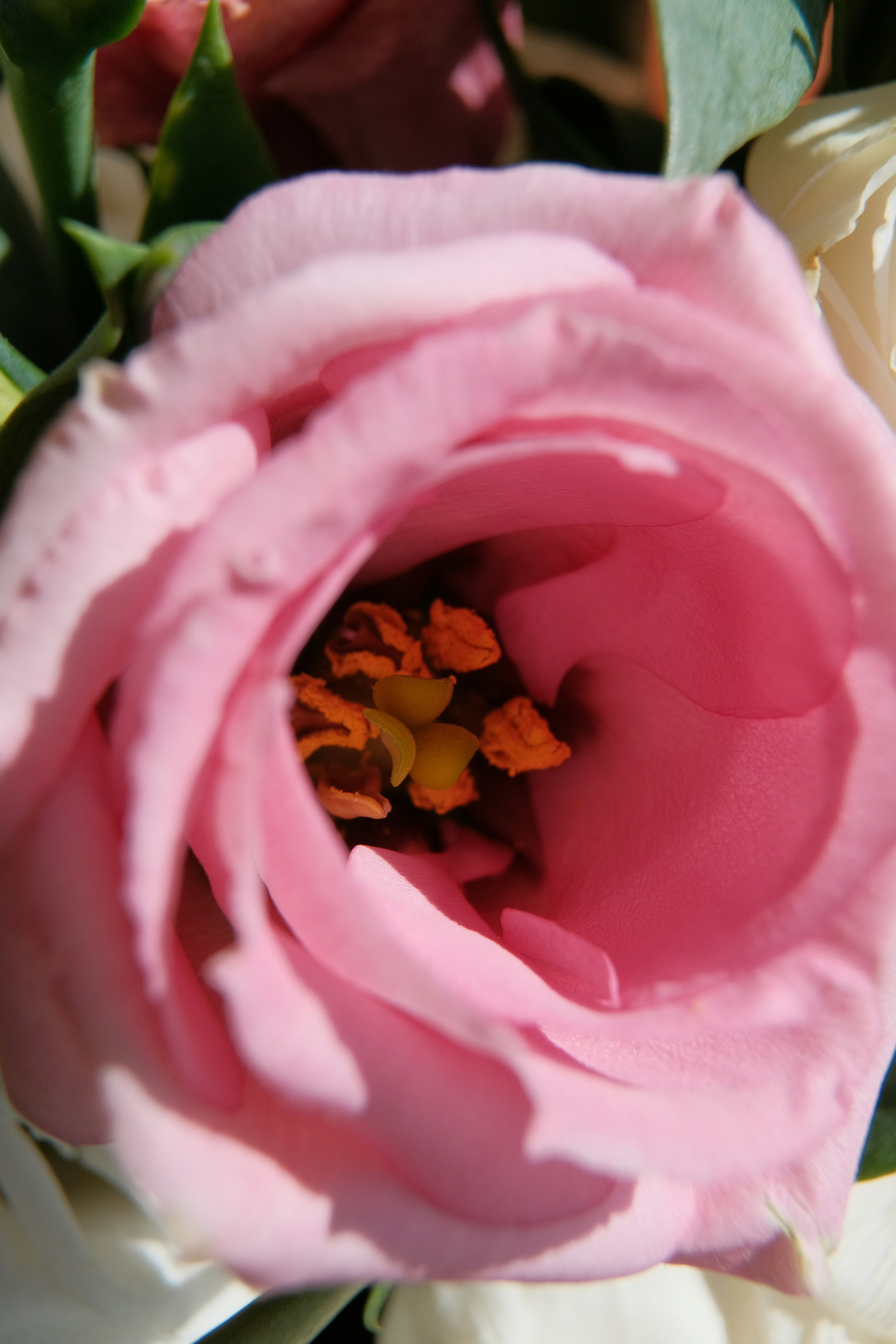 Photo by Roman Kravtsov with Fujifilm X-T30 II