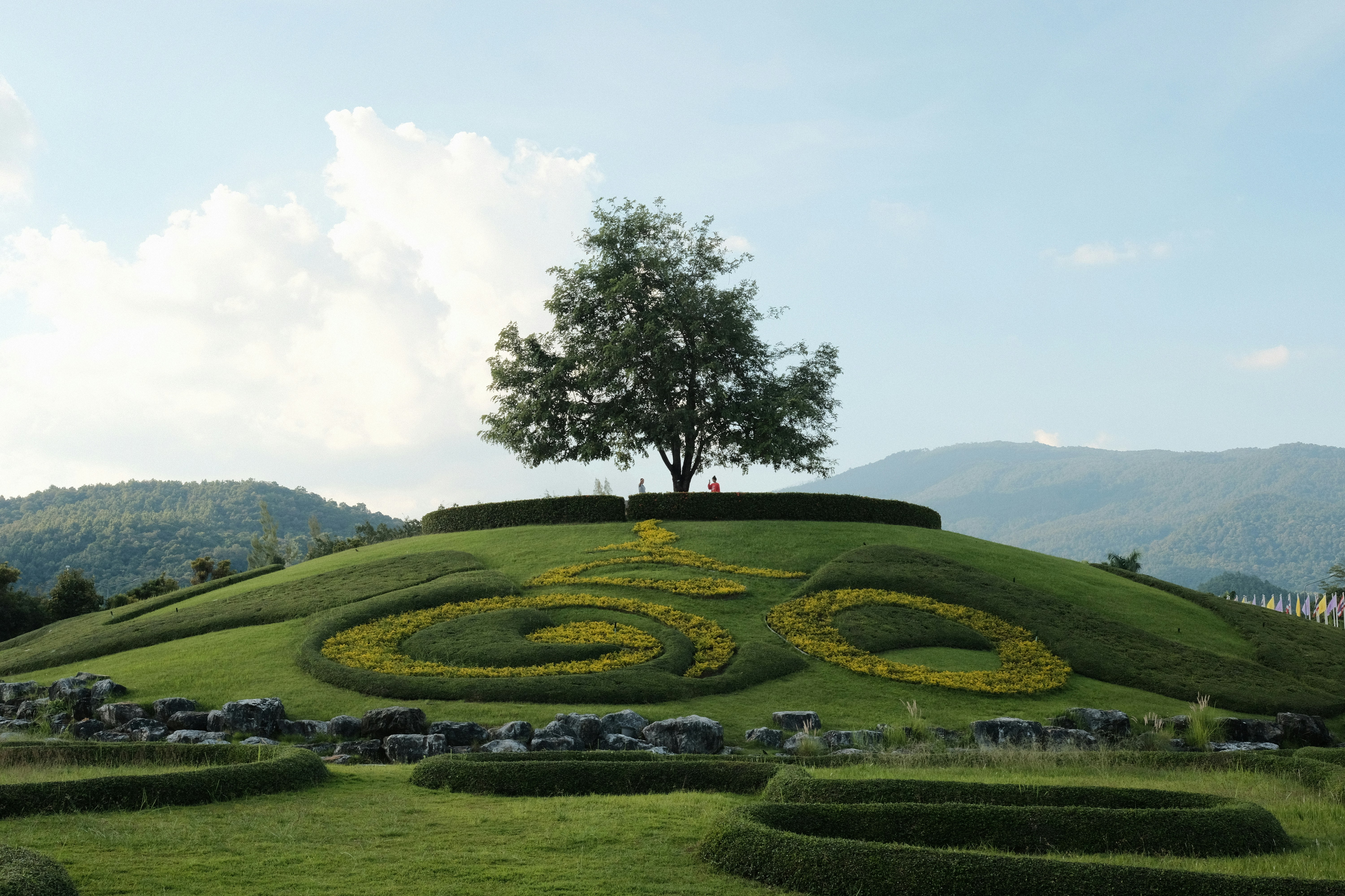 The Crowned Hill: Lone Tree Over Concentric Garden Spirals