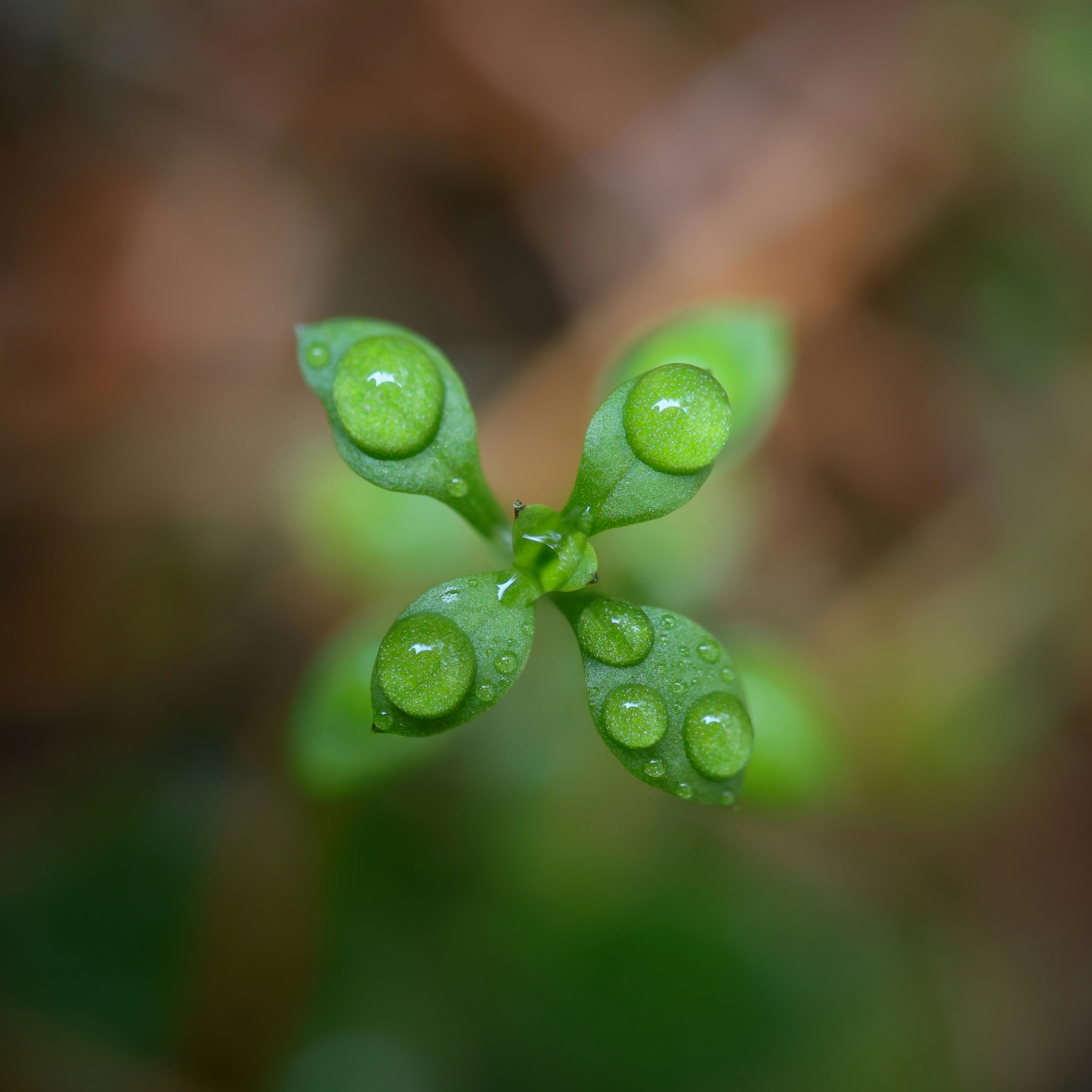 Kibeom Jin (@jin_kb) | Komunitas Foto Unsplash