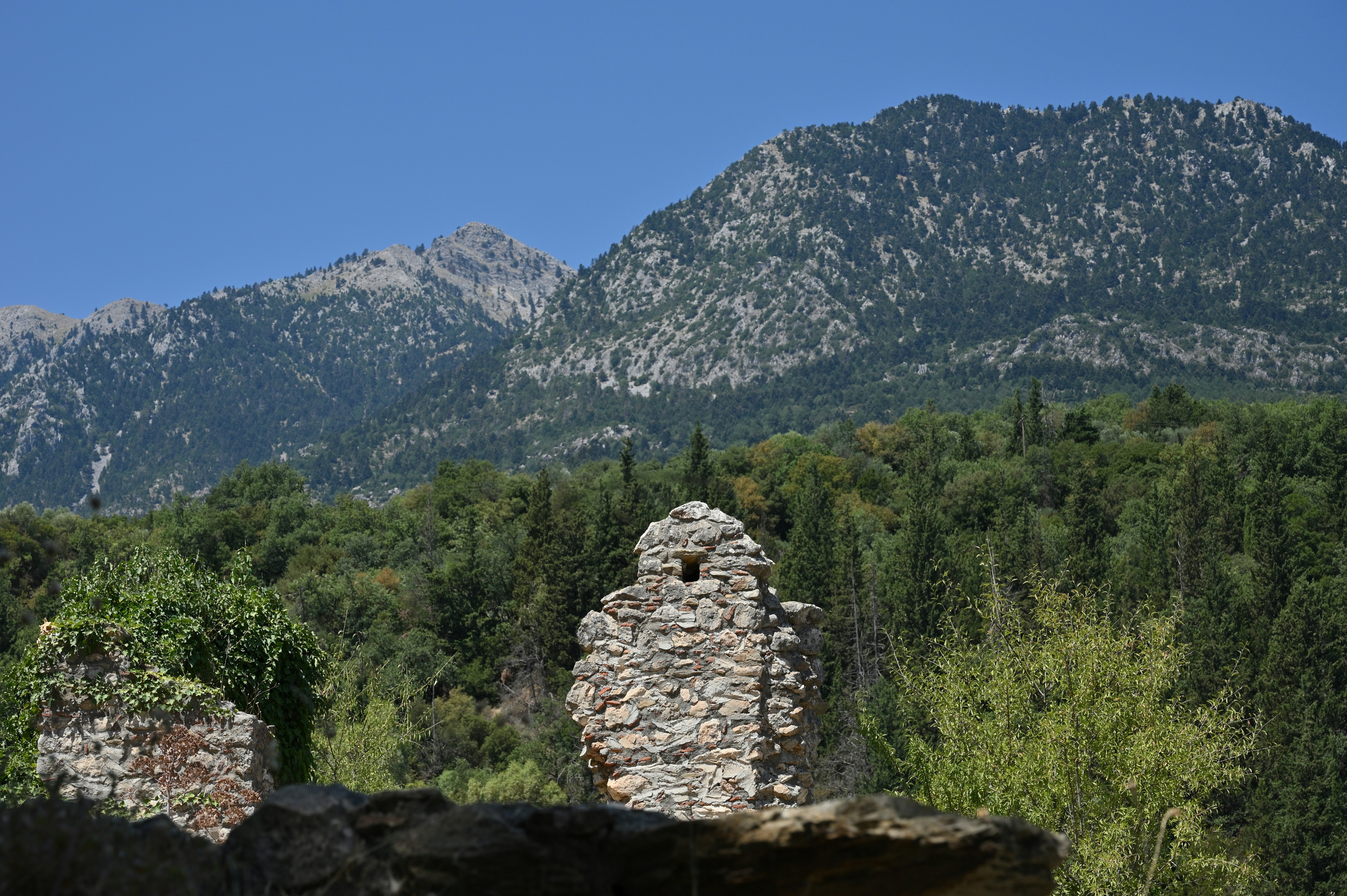 Photo by Po-Hsuan Huang with Nikon Z6 II