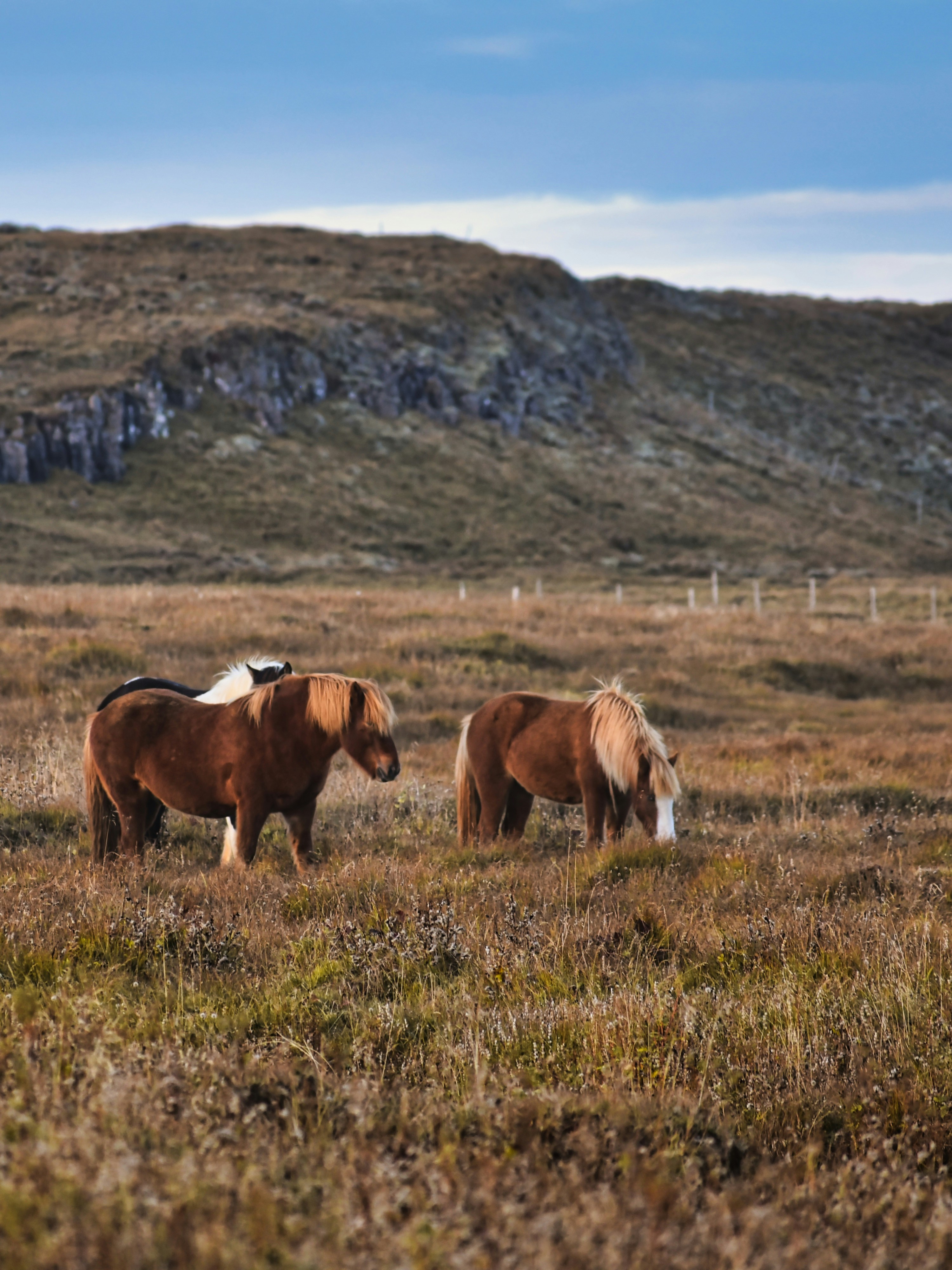 Photo by Vivek with Nikon D3400