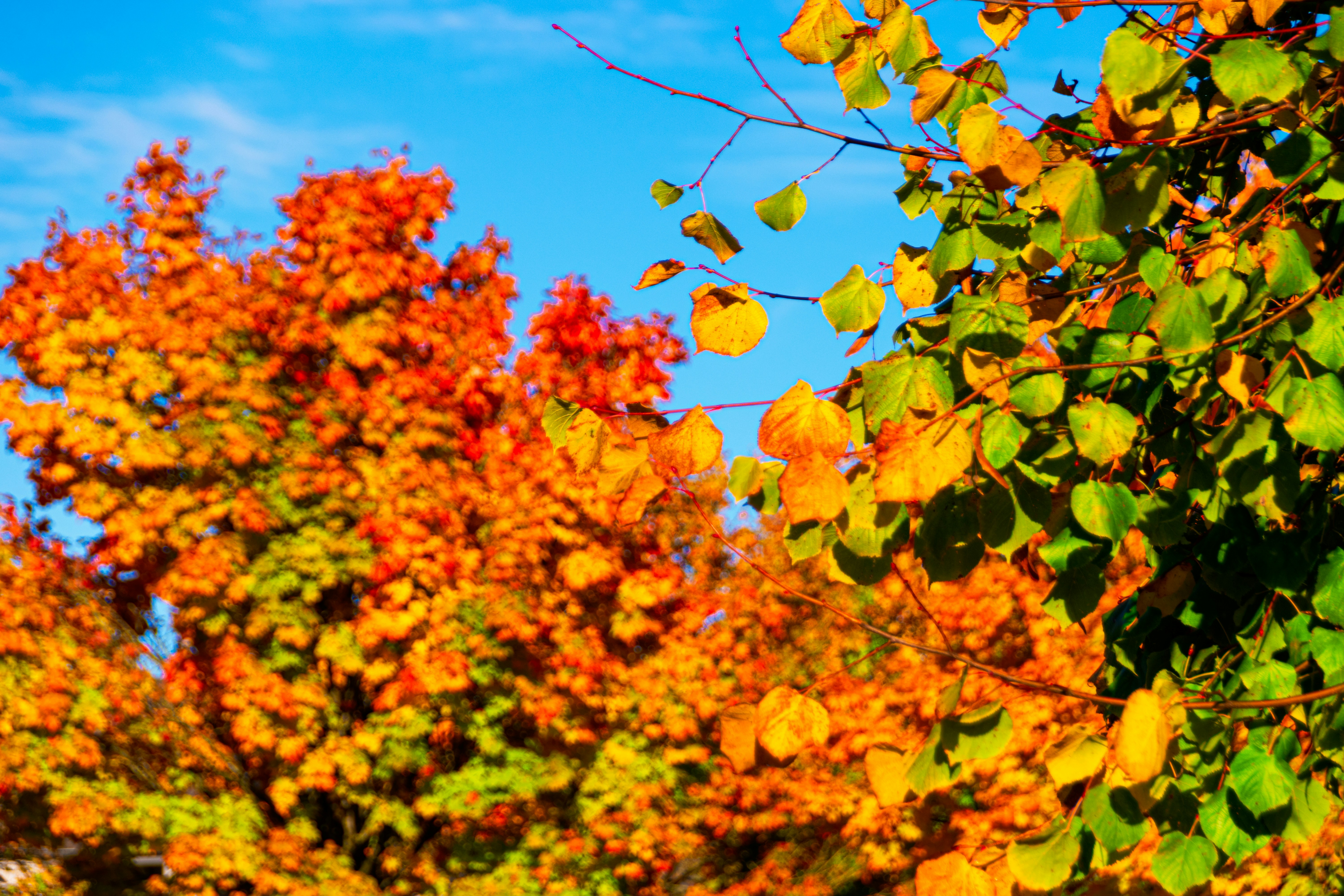 Photo by SK Strannik with Nikon D5500