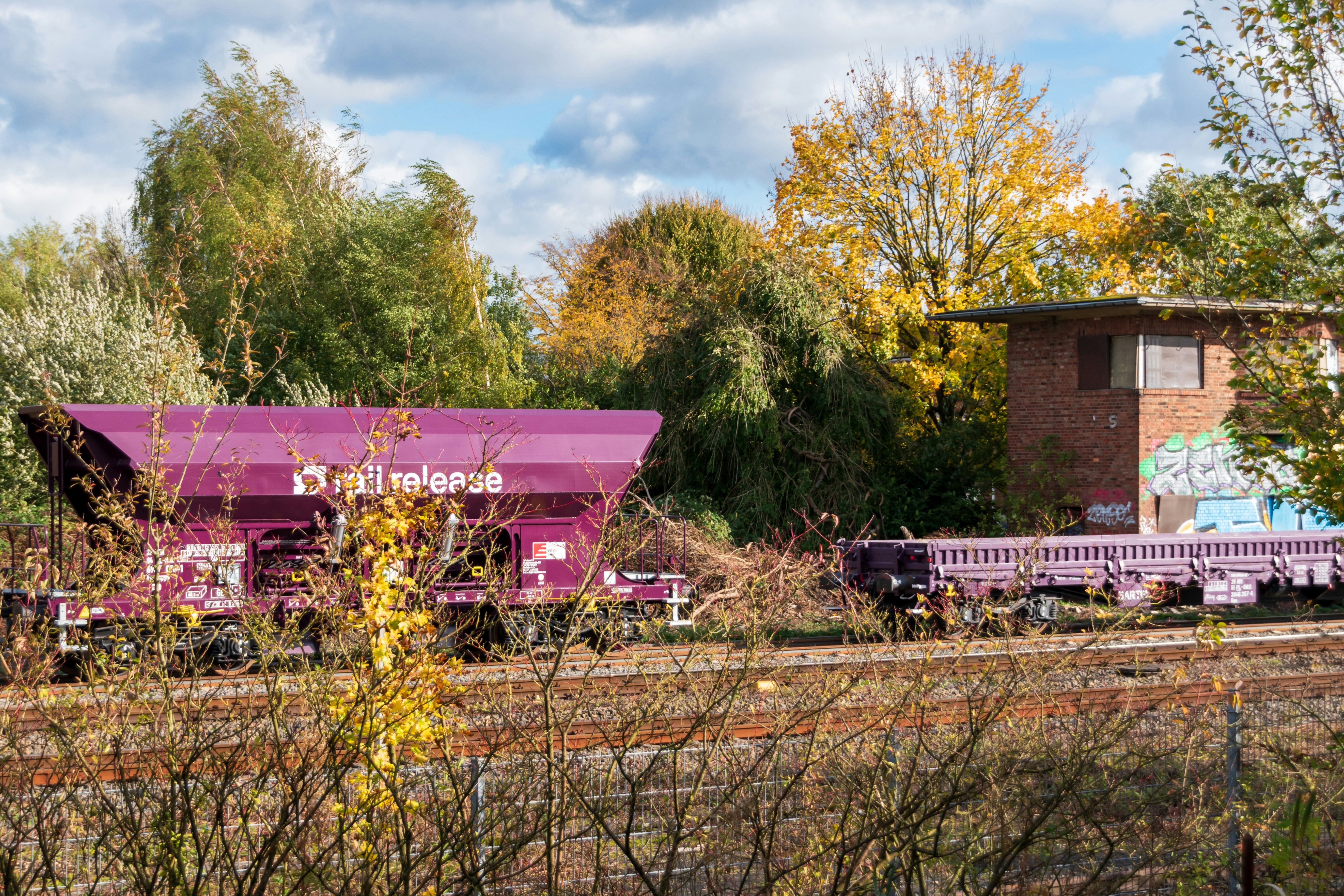 Autumn Rails: A Violet Freight Car Amid Fading Foliage