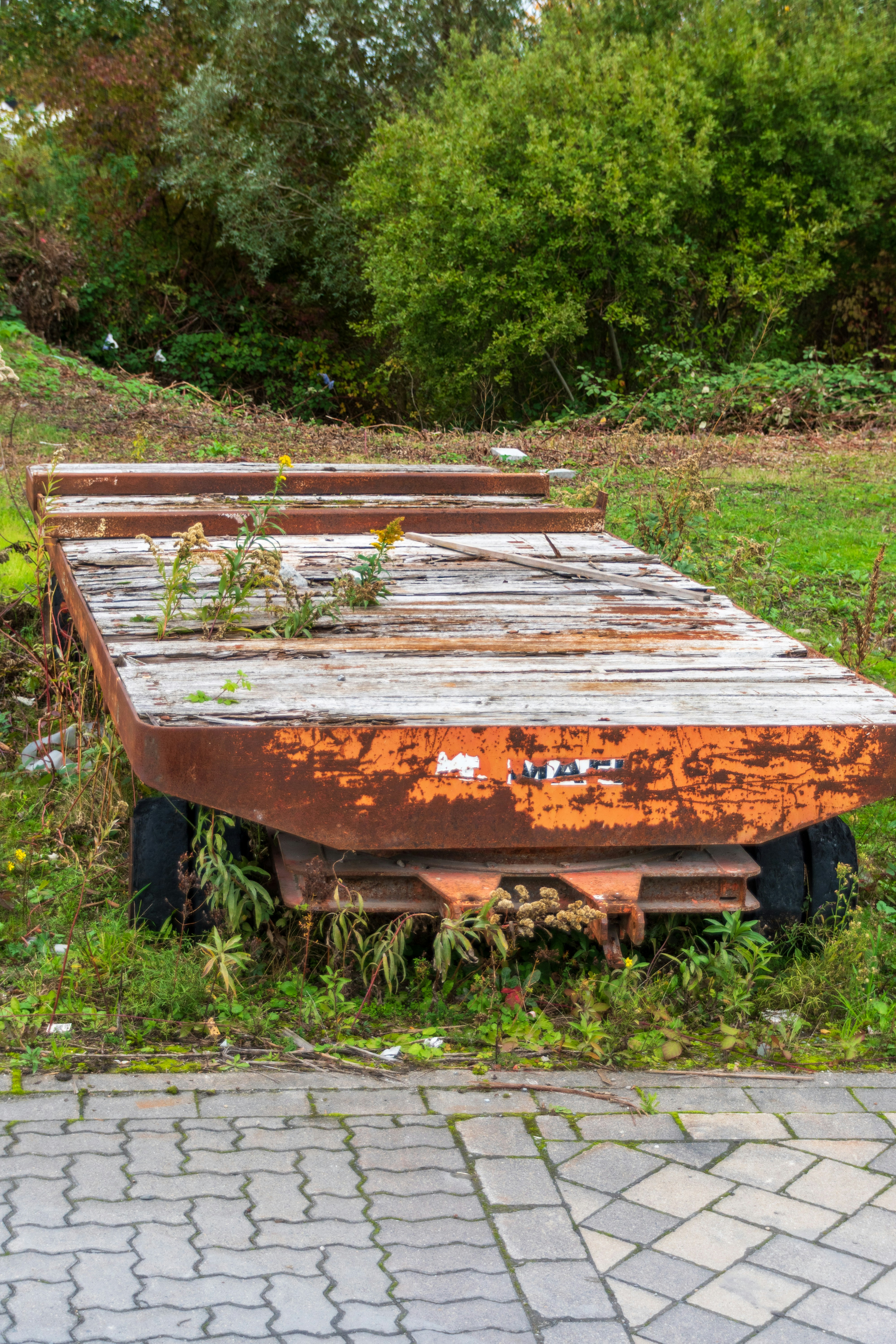 Rust, Grass, and Quiet Rails: A Weathered Flatbed Cart in Nature