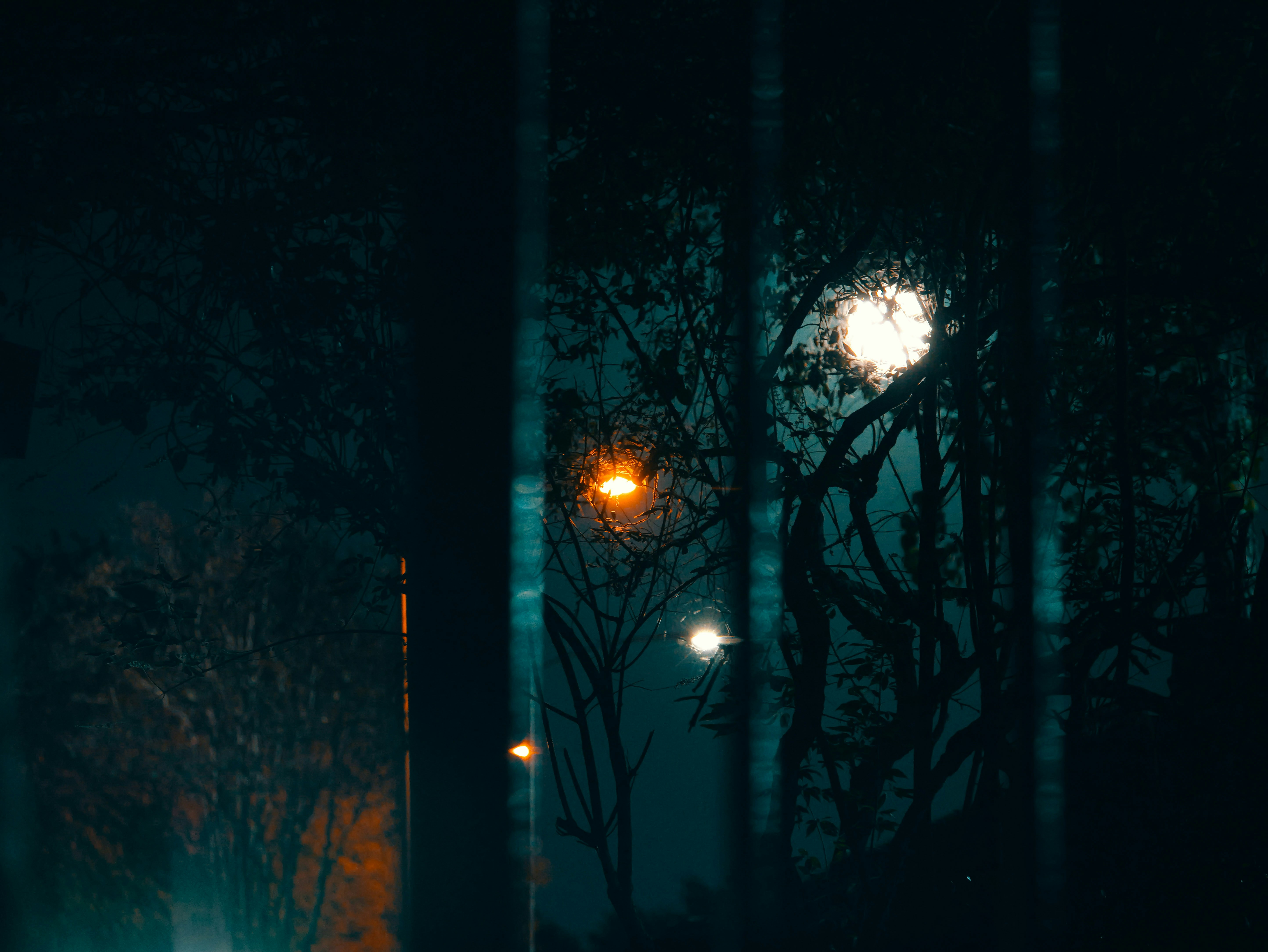 Sample photo from Panasonic Lumix GH7