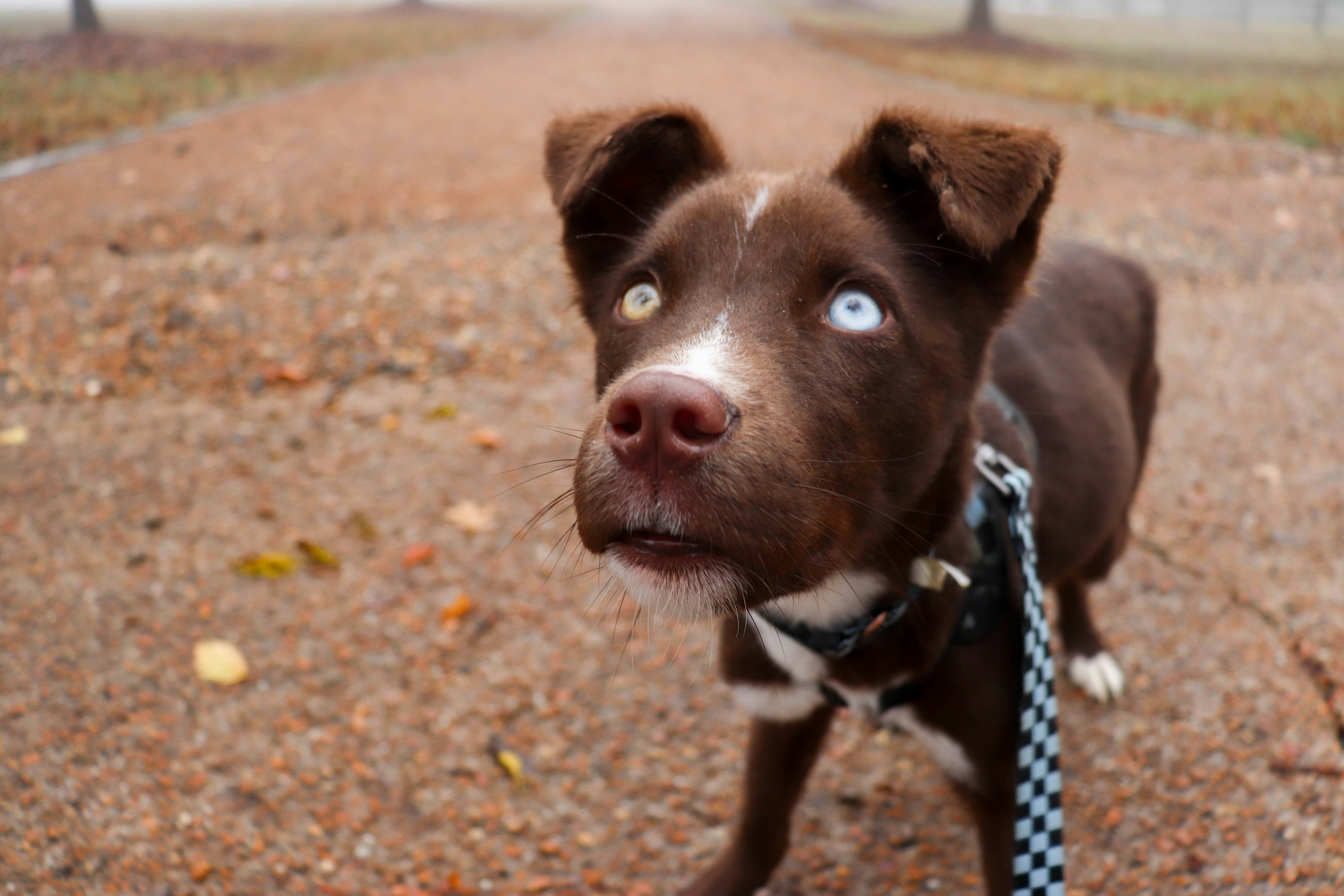 Photo by Laura Roberts with Canon EOS 200D Mark II