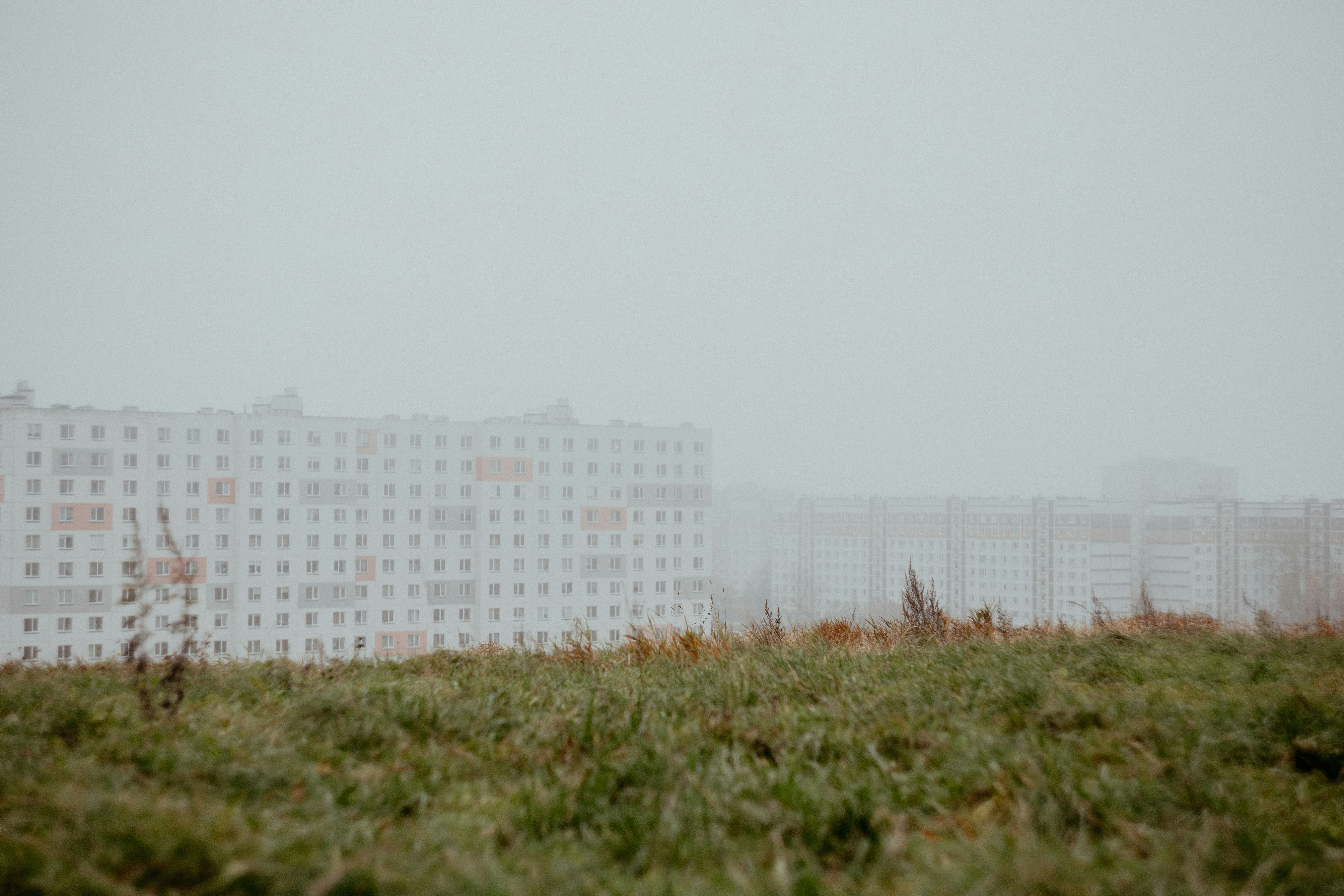 Mist-Silent Row: Pale Housing Blocks in Quiet Fog