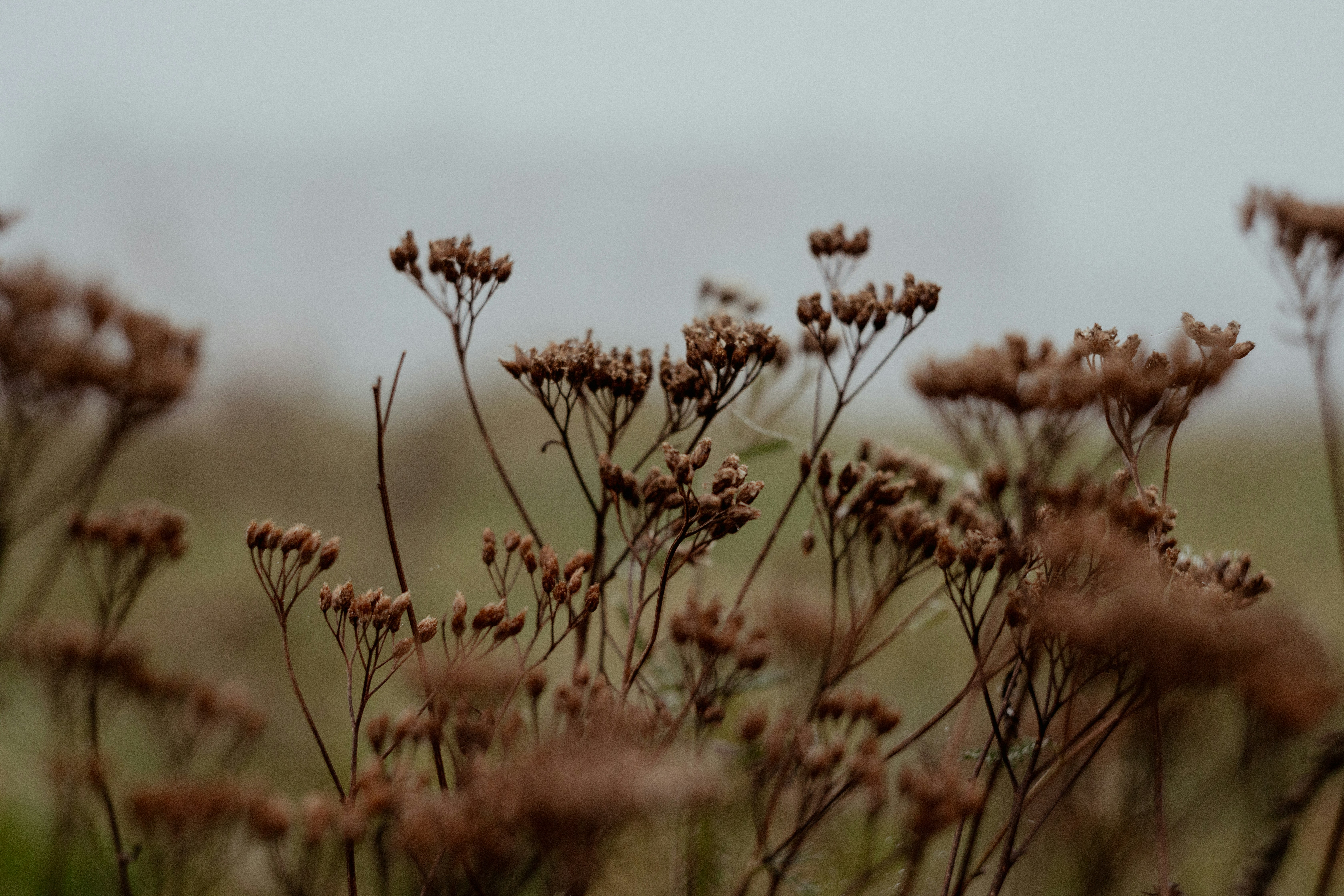 Photo by Artis Kančs with Canon EOS R