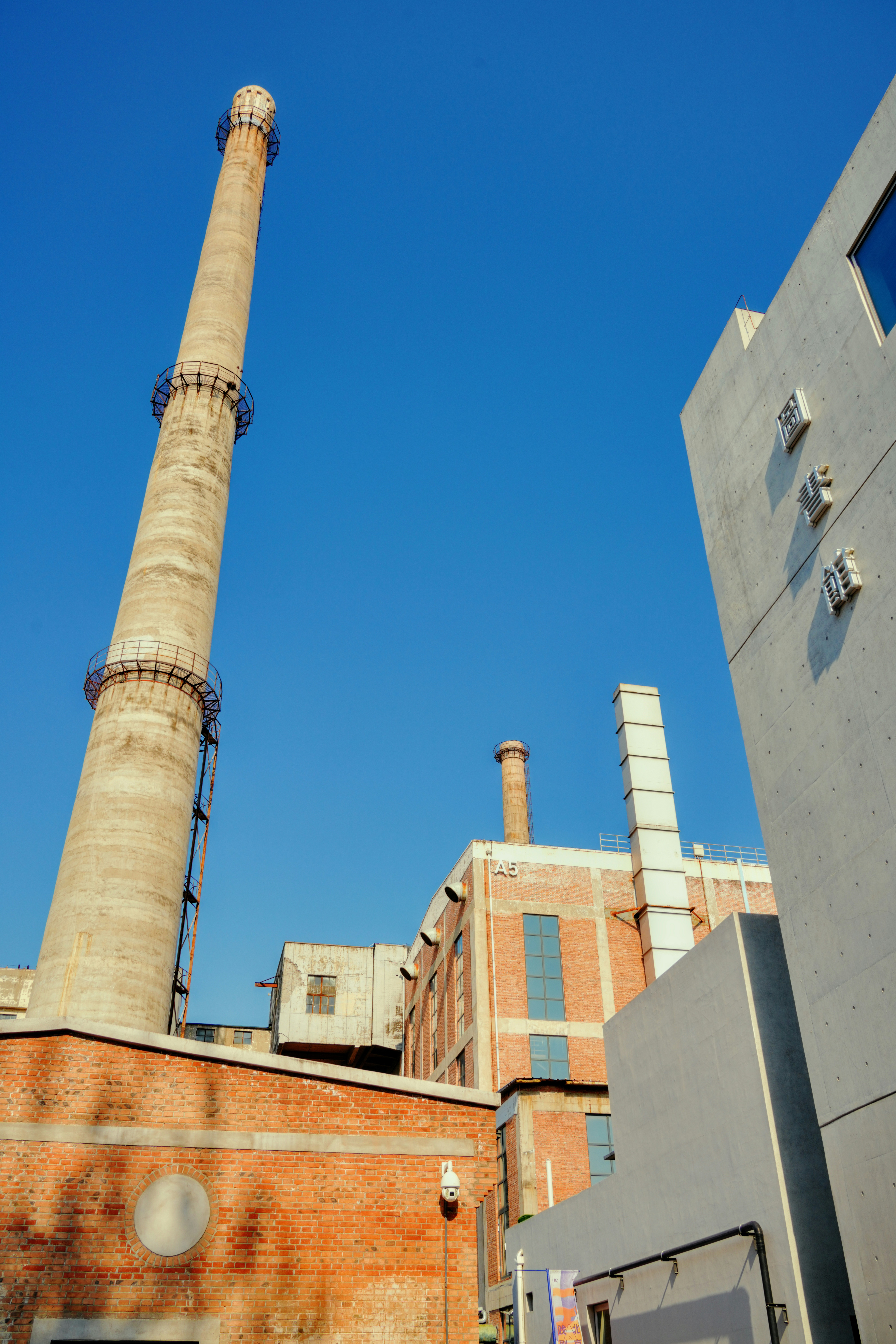 Photo by Hat Trick with Sony Alpha 7C R