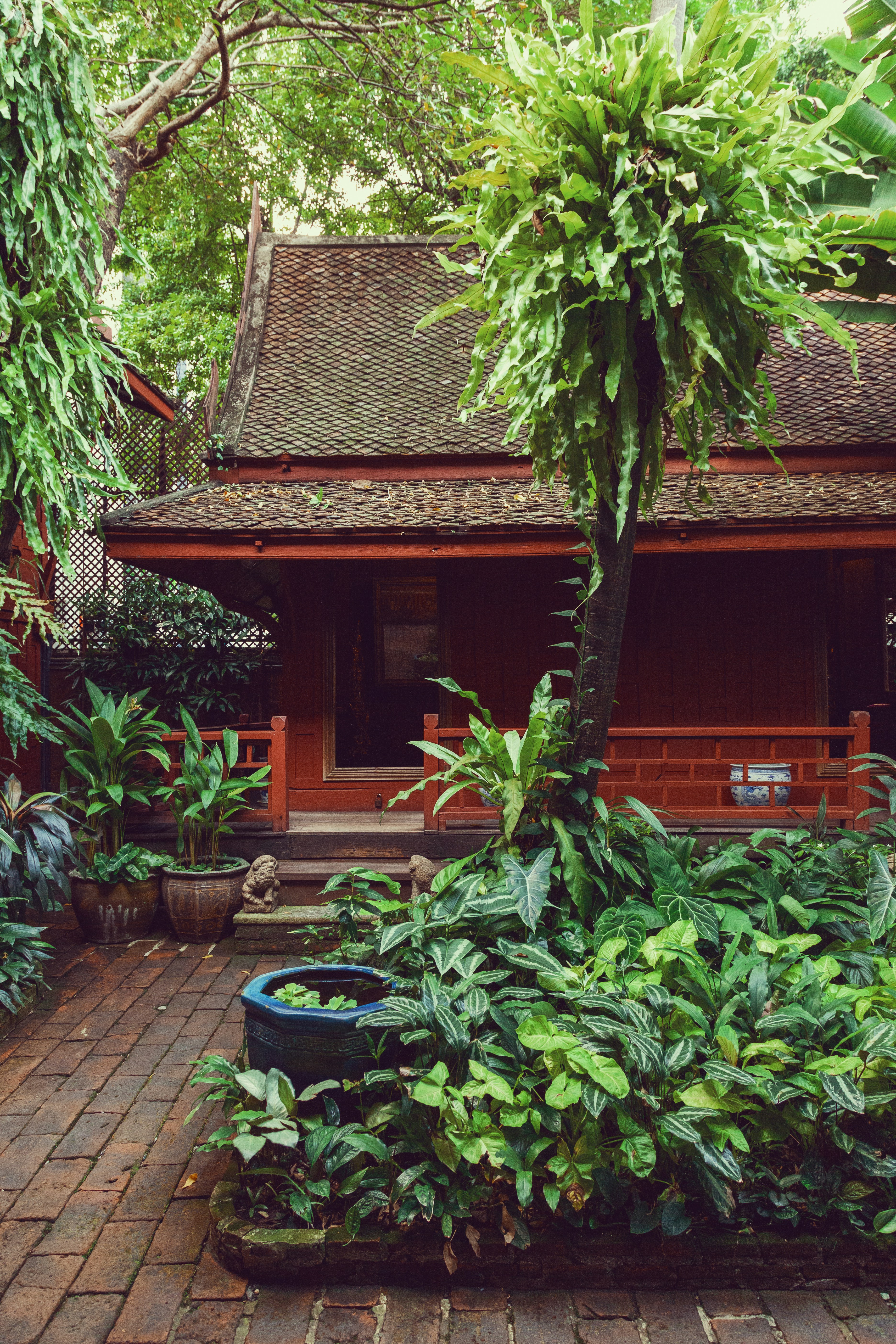 Photo by Rowan Heuvel with Canon EOS 5D Mark II