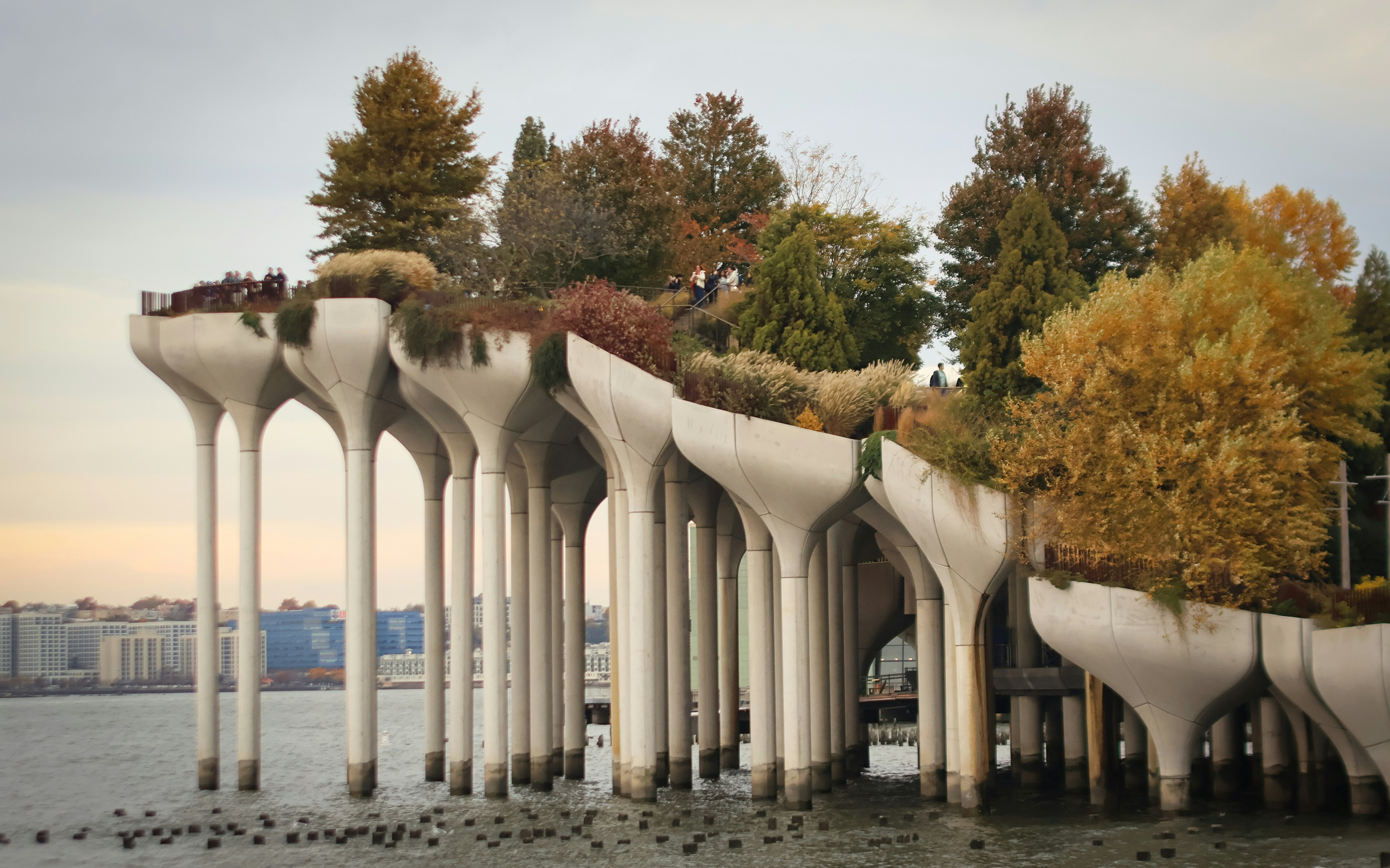 Modern park structure with trees on water photo – Free New york city ...