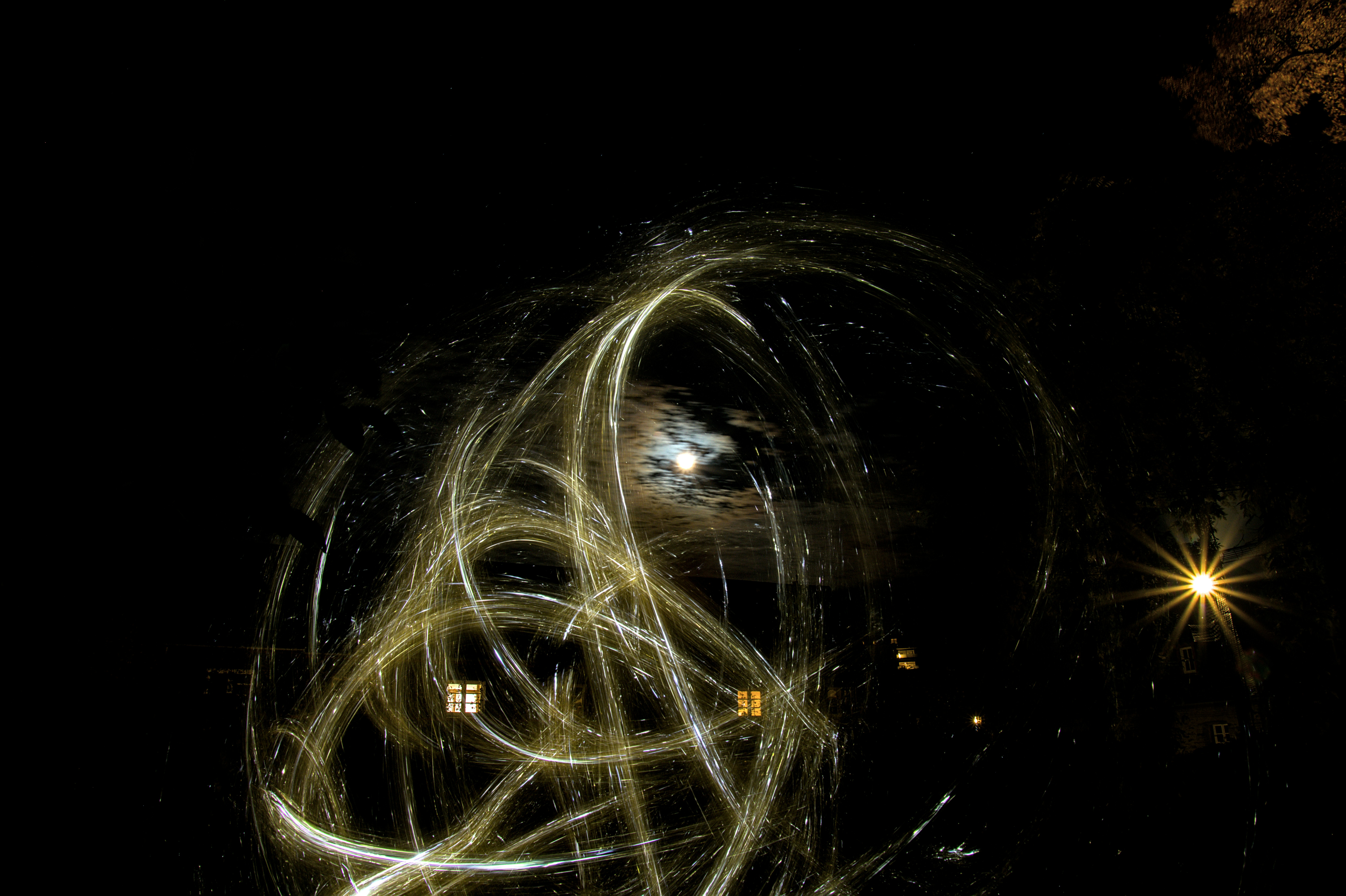 Golden Helixes Over a Quiet Park