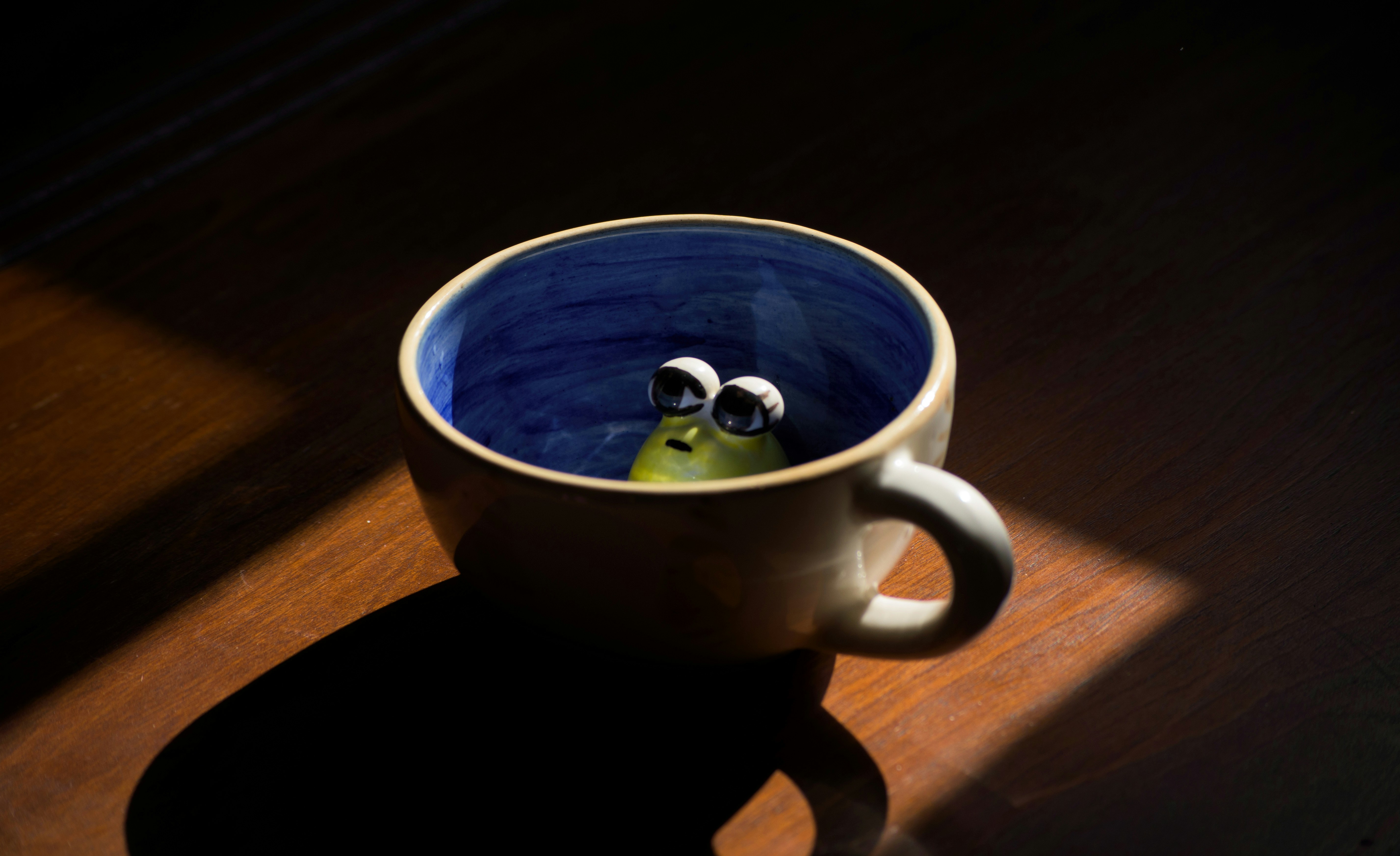 Small toy frog sitting inside a ceramic cup, lit by soft morning sunlight on a wooden table.