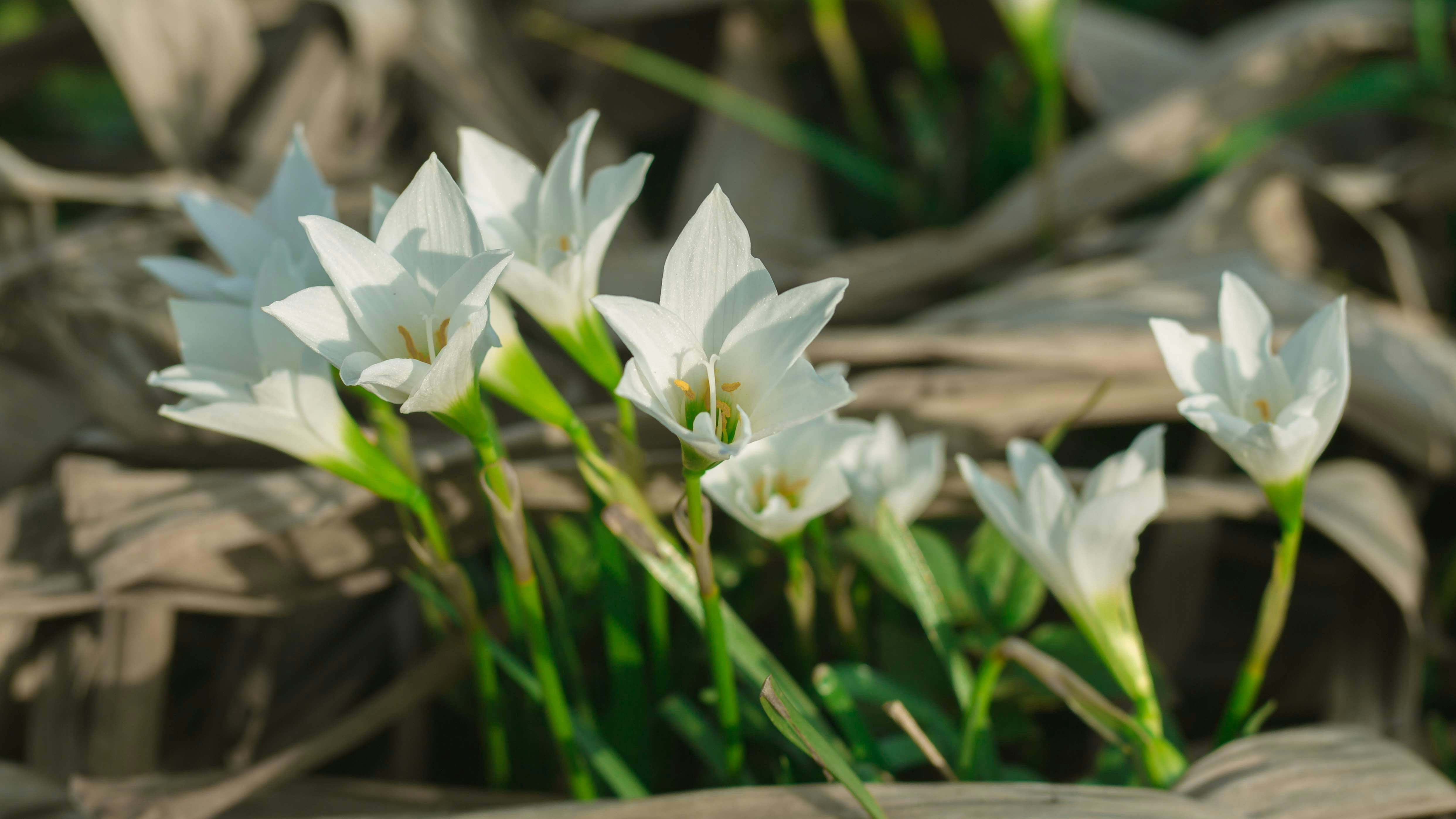 Photo by Joshua Duneebon with Canon EOS 7D