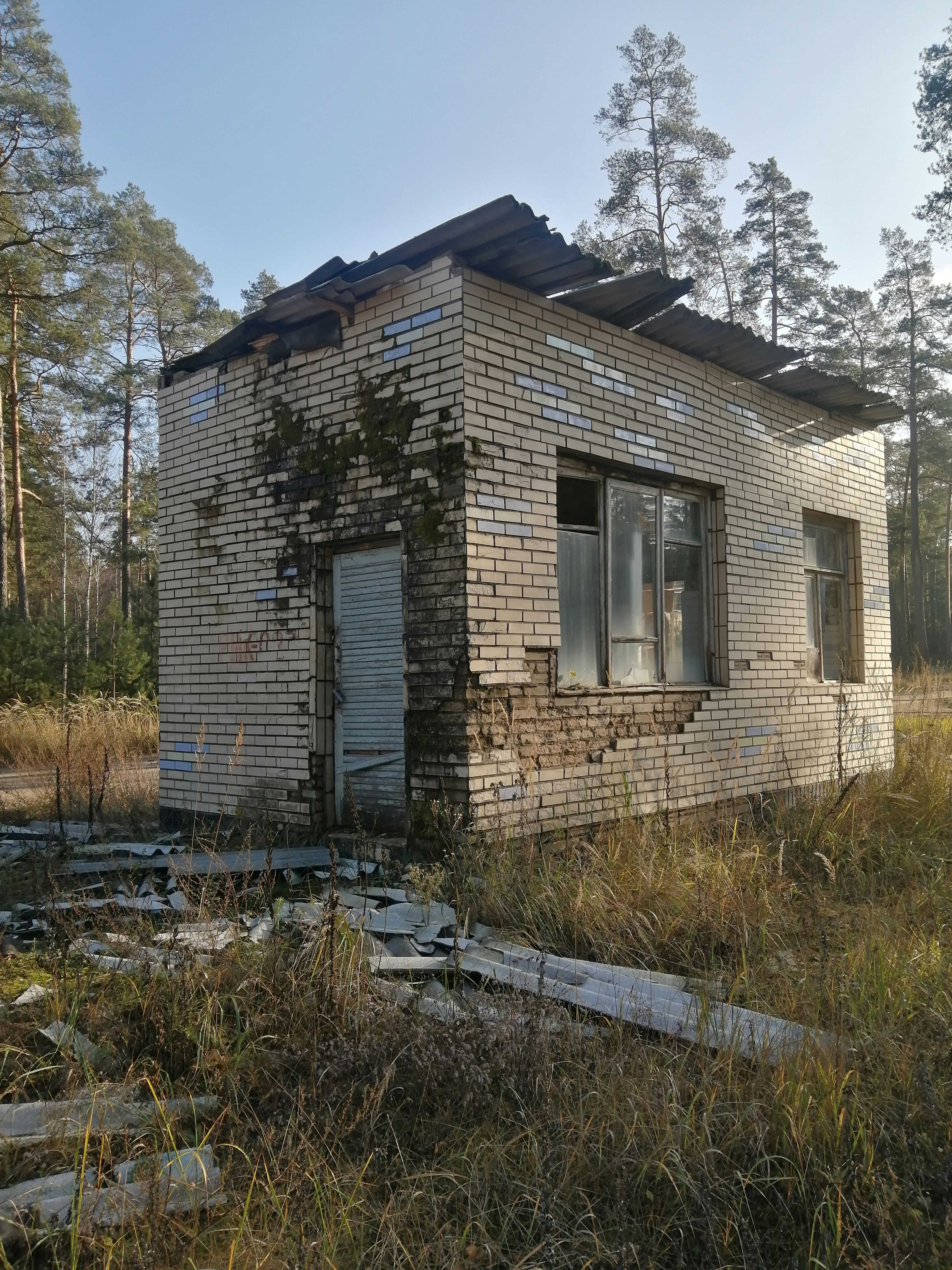 Time-Weathered Brick Cabin Quietly Standing Among Pines